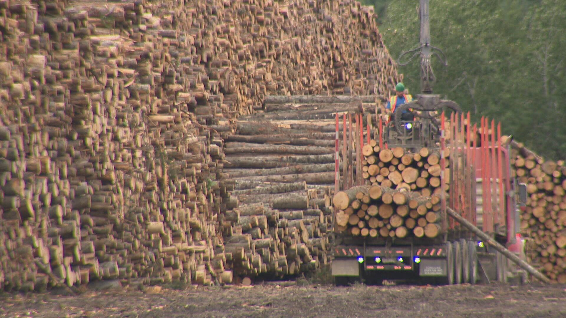 Décret d’urgence pour la protection du caribou: des pertes pour l ...