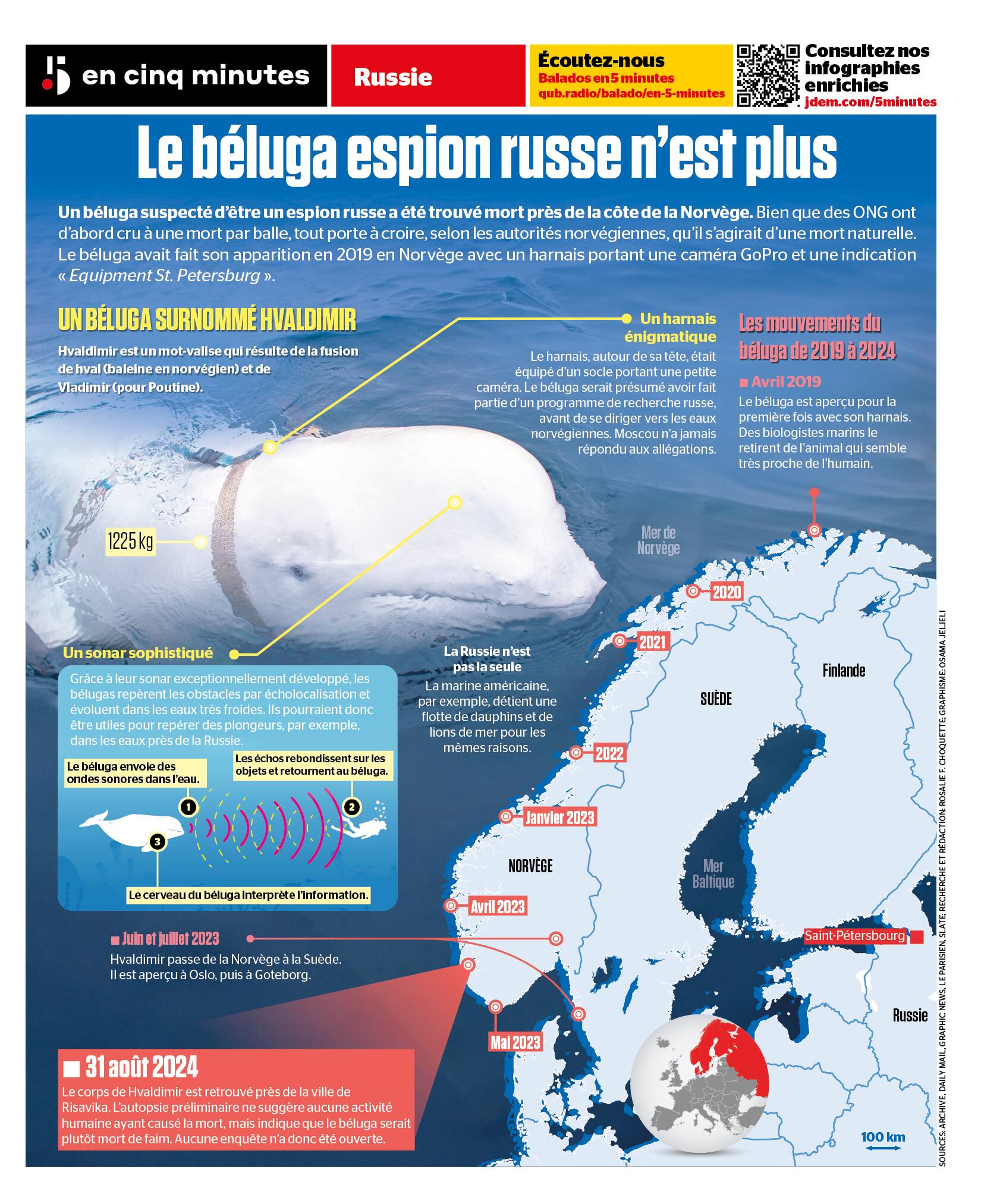 Le béluga espion russe n’est plus | Le Journal de Québec