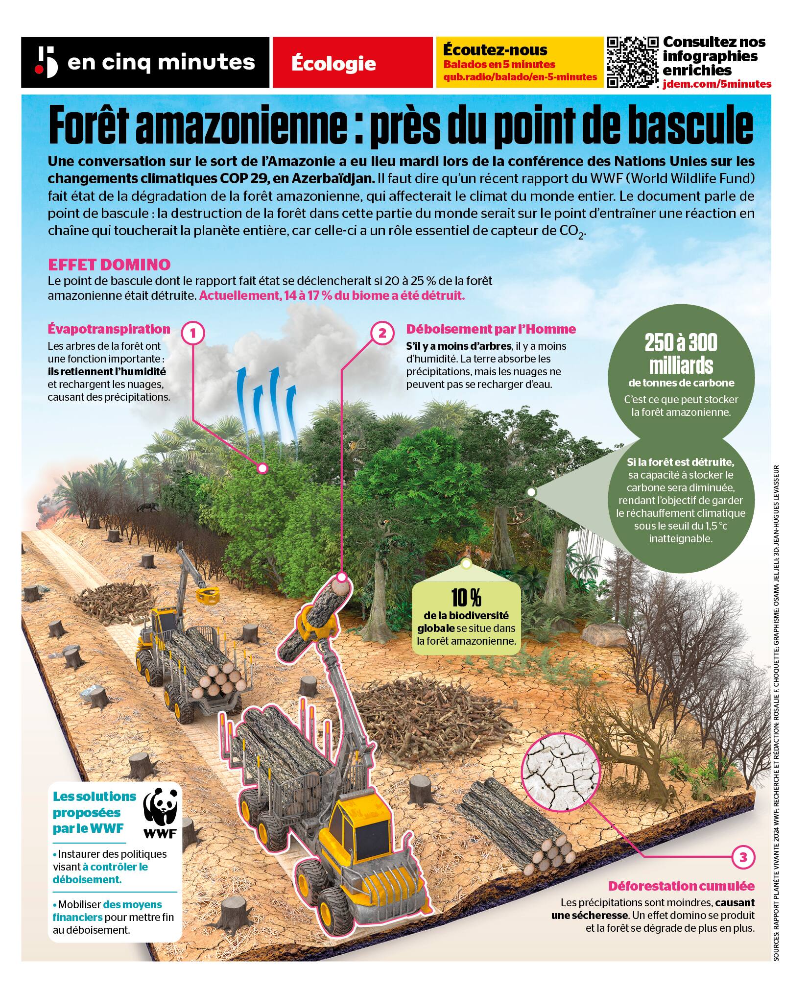 Déforestation: les conséquences sur la forêt amazonienne (et le monde ...