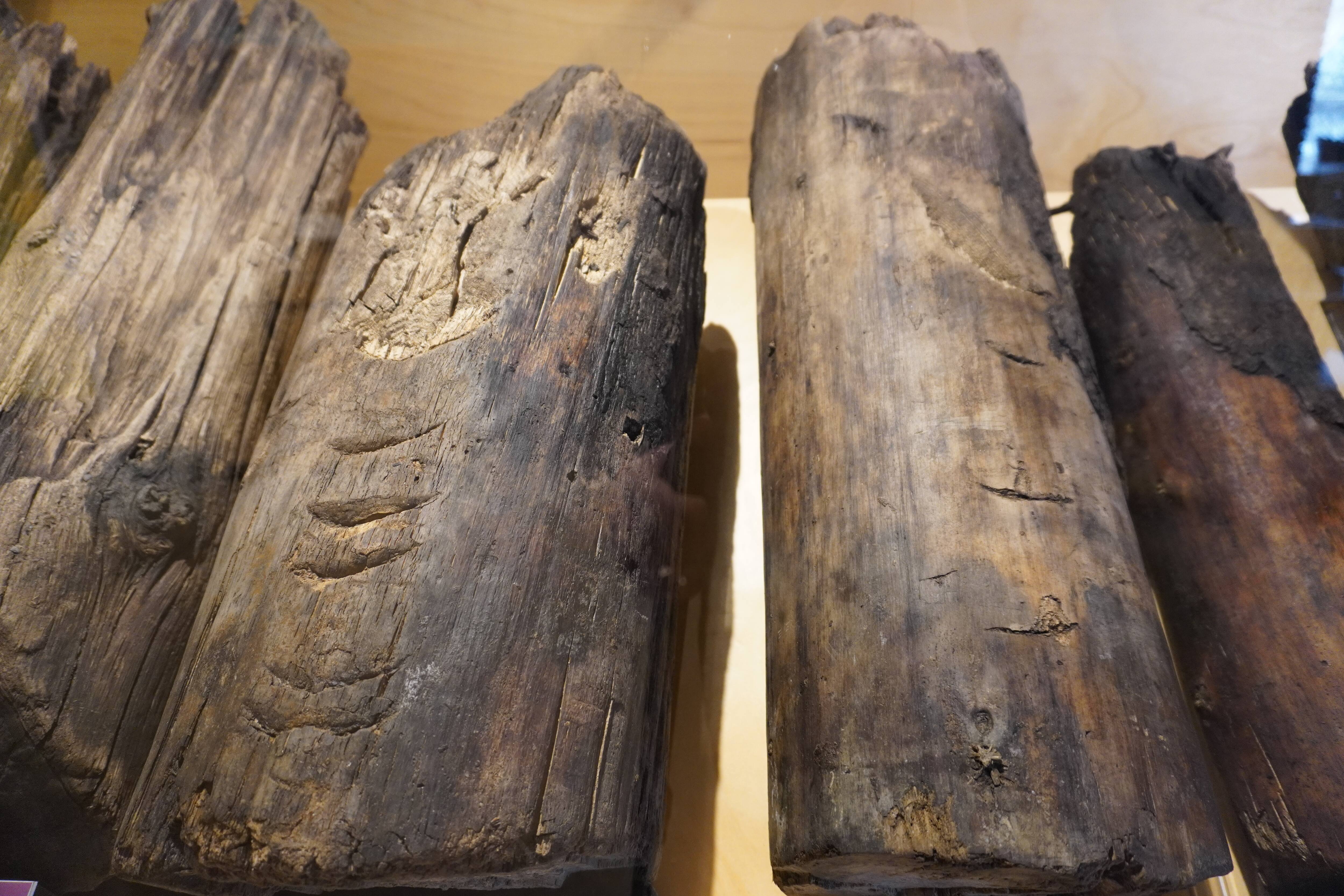 Des pieux miraculeusement intacts de la Nouvelle-France retrouvés en ...