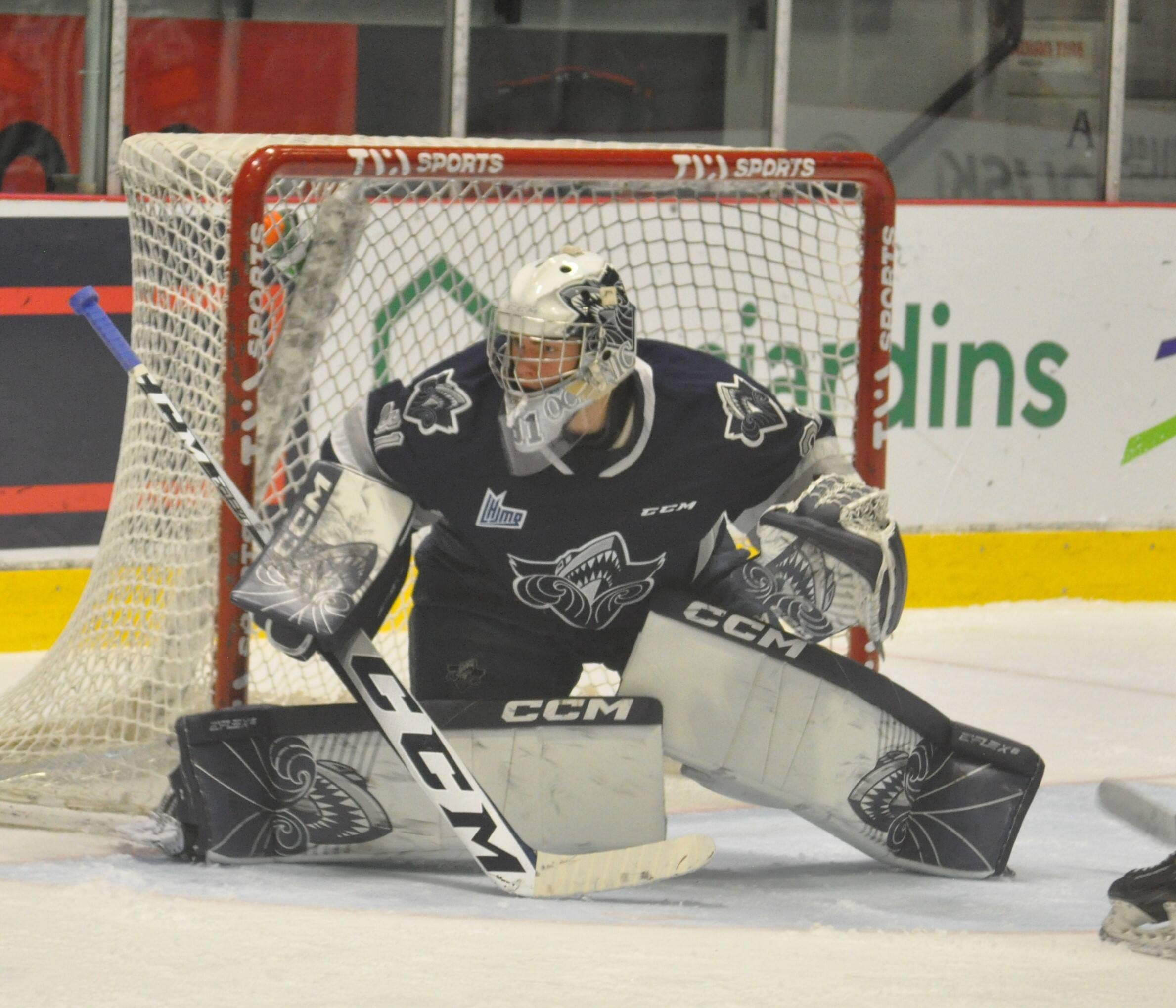 Dernier sprint avant la pause des Fêtes pour l'Océanic de Rimouski | JDQ