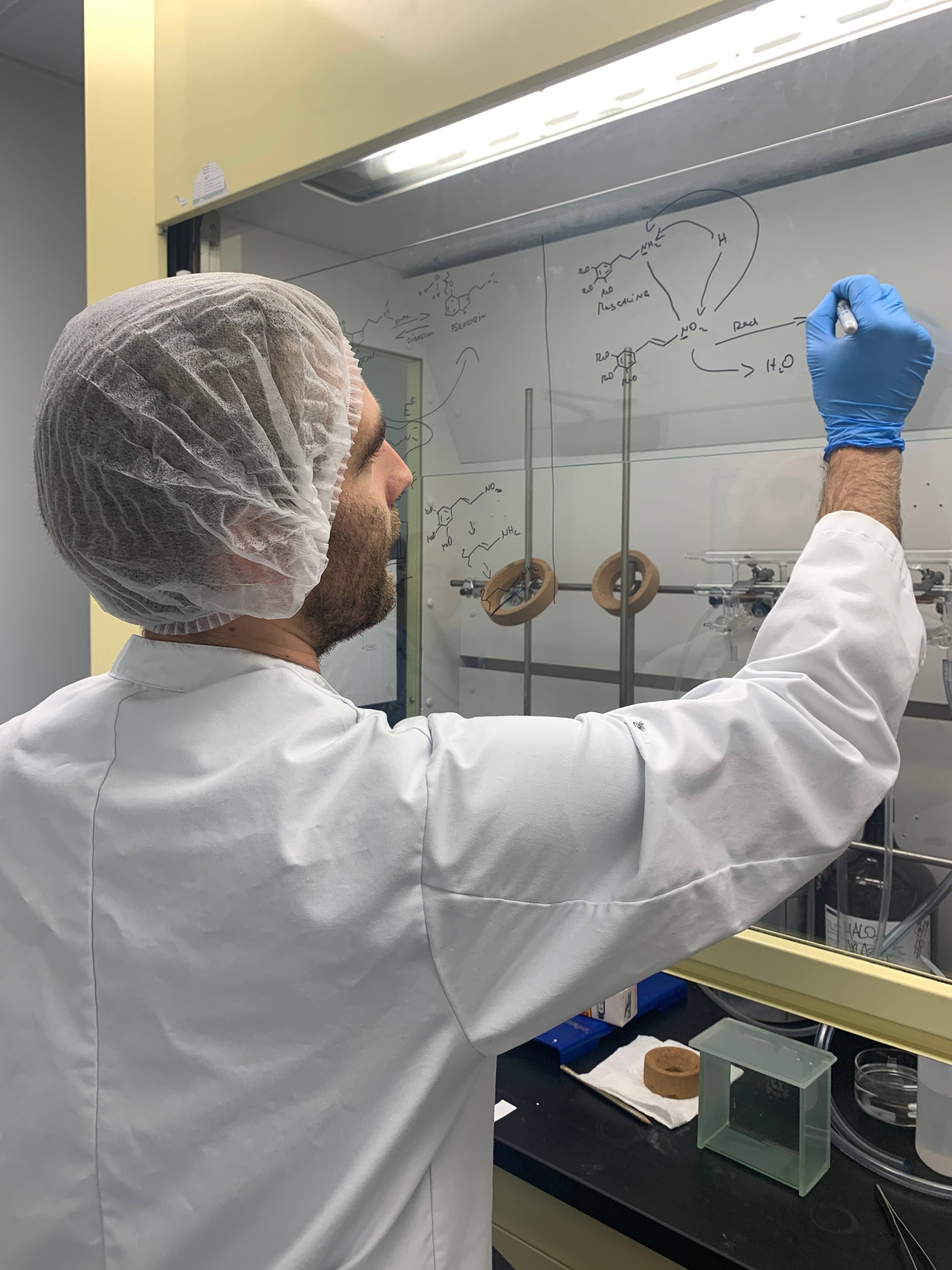 On a visité un laboratoire (légal) de champignons magiques à Montréal ...