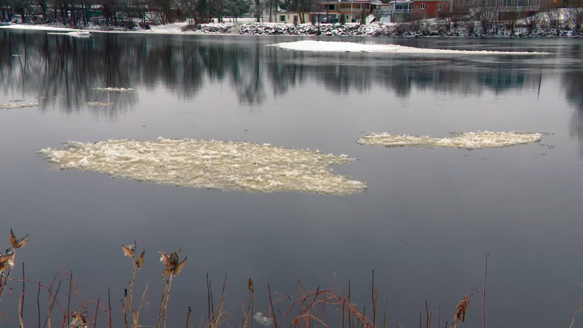 Pêche au poisson des chenaux : un départ à la flotte | TVA Nouvelles