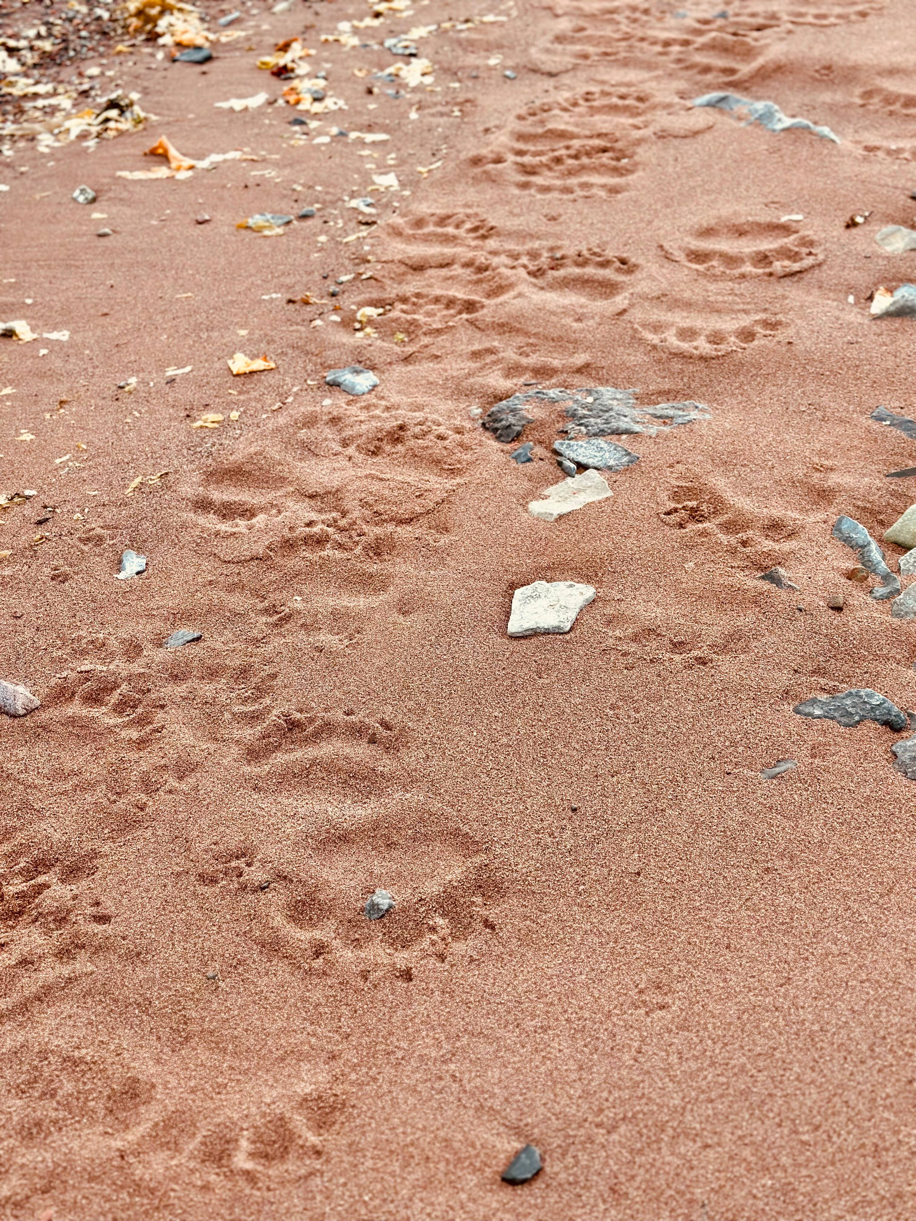 À la découverte du passage du Nord-Ouest: une croisière inoubliable au ...