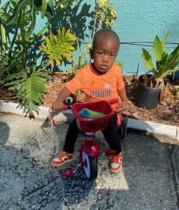 Un garçon de 2 ans retrouvé mort dans la gueule d'un alligator; son ...