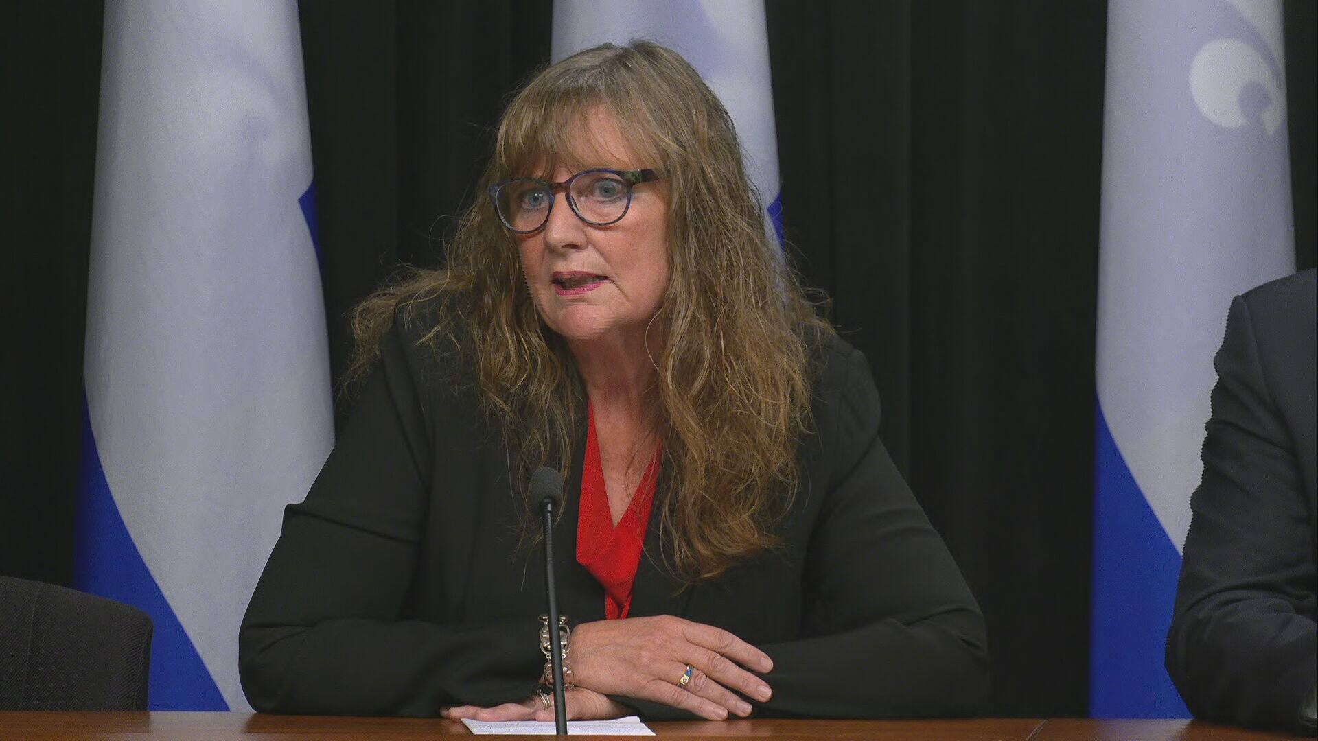 «Il n’y a pas de solution parfaite»: la nouvelle DPJ espère aider les ...