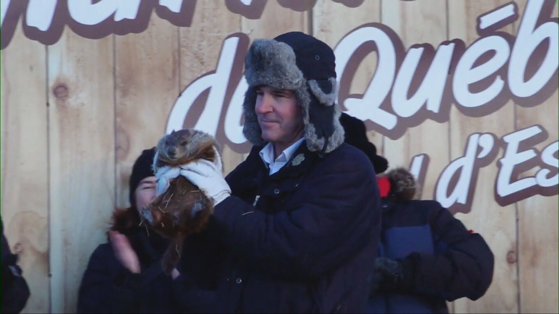 Actualités | Jour de la marmotte : à quand la fin de l'hiver? | Espaces