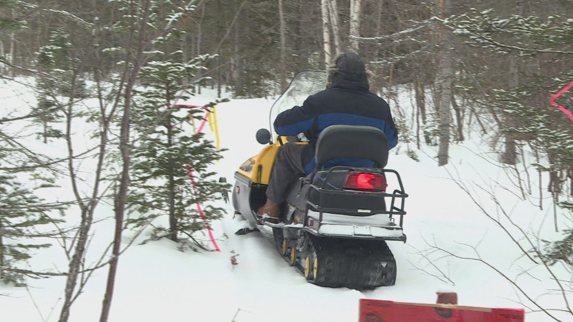 Un motoneigiste saccage des plantations de petits fruits | TVA ...