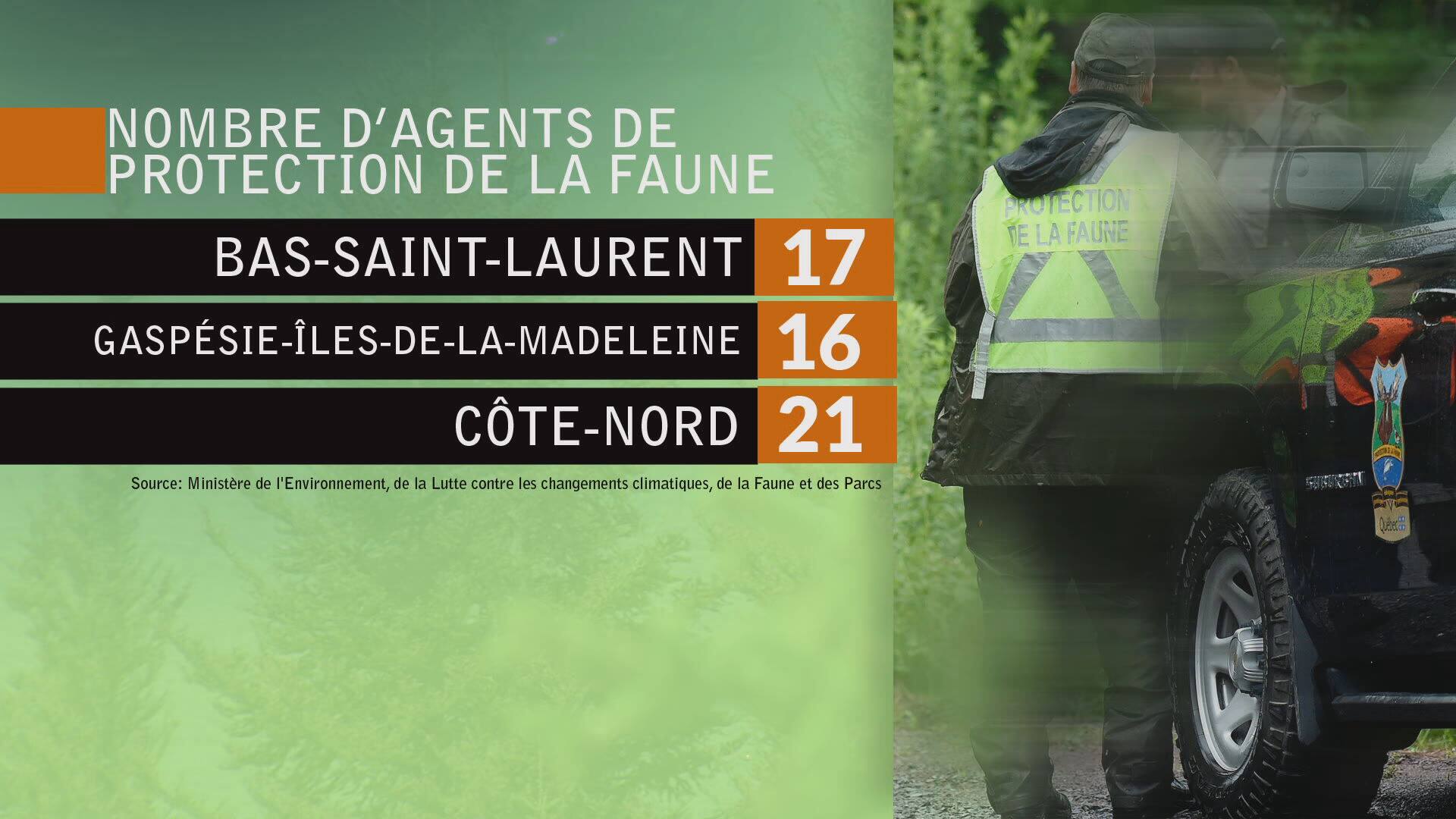 Pénurie d’agents de protection de la faune au Québec: des répercussions ...