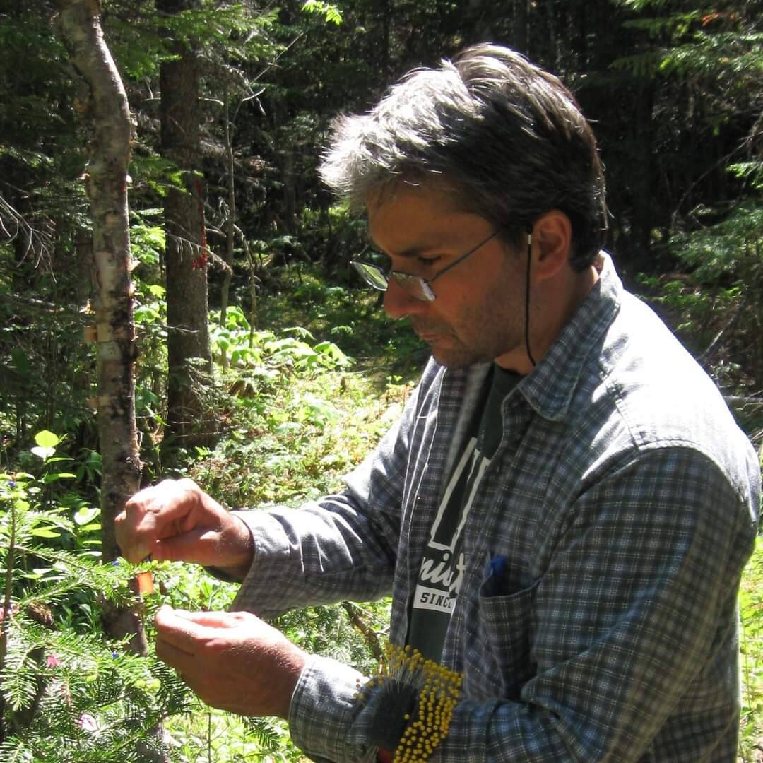 Le Québec est en retard sur l’Ontario au chapitre de la surveillance ...