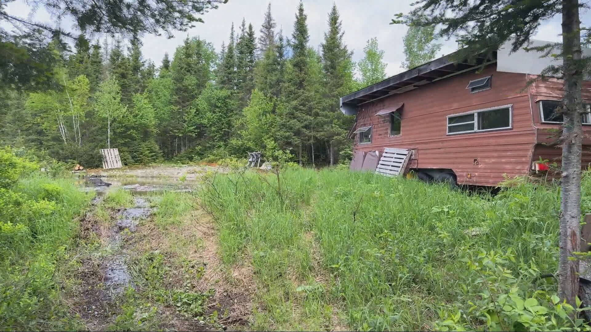Forêts publiques: de plus en plus de cas d'occupations illégales au ...