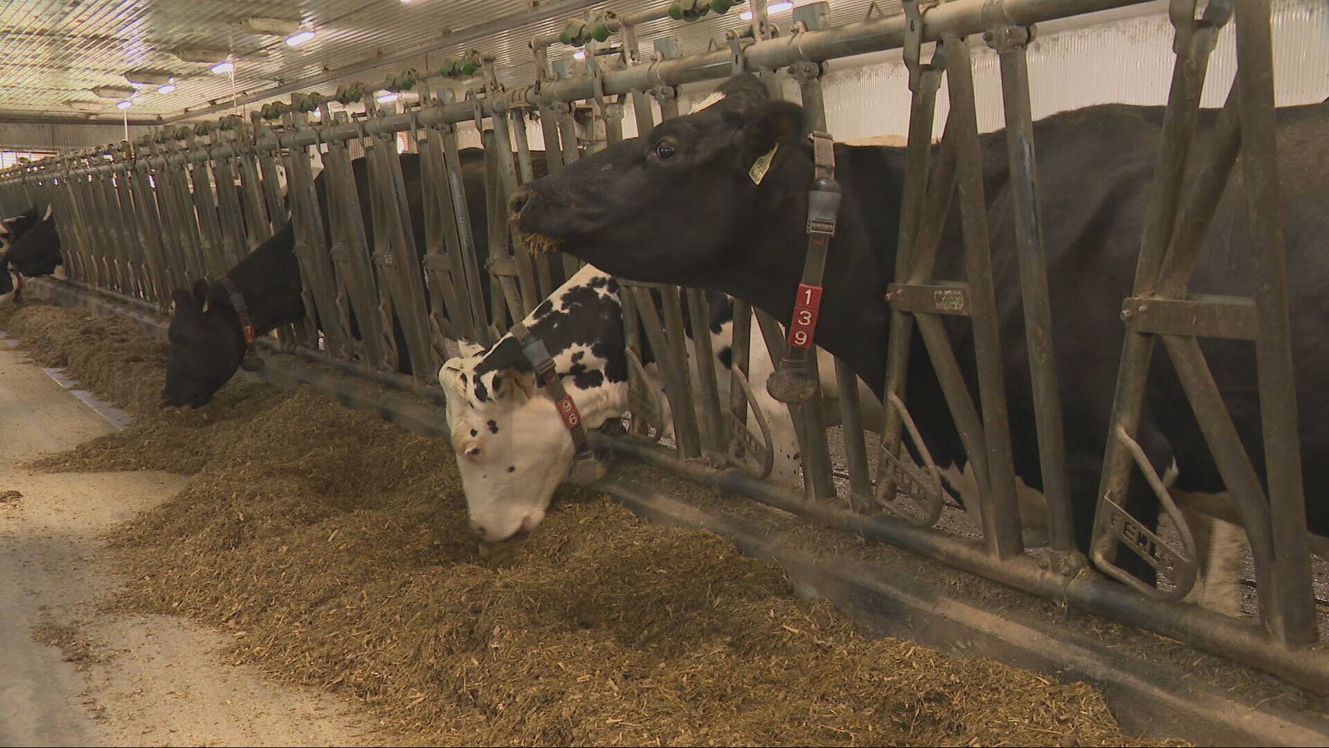 Le projet Viande Solidaire pour éviter le gaspillage de milliers de ...