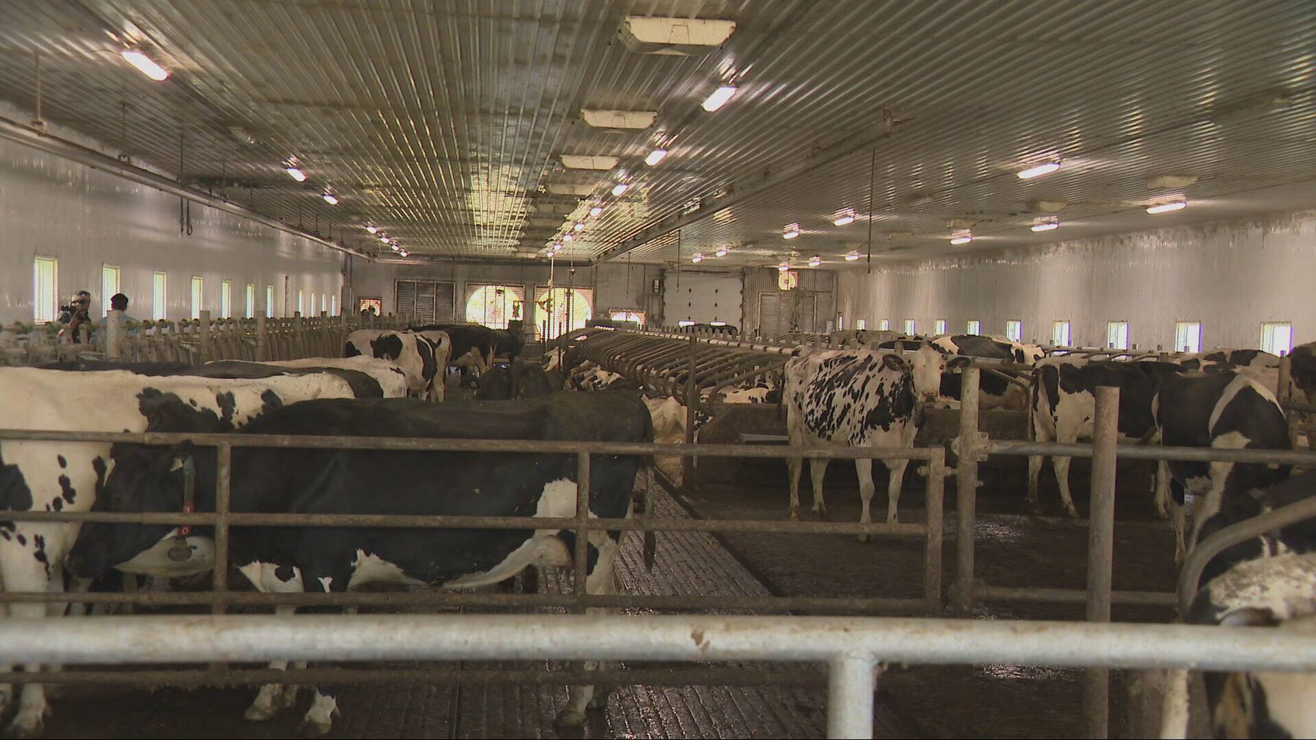 Le projet Viande Solidaire pour éviter le gaspillage de milliers de ...