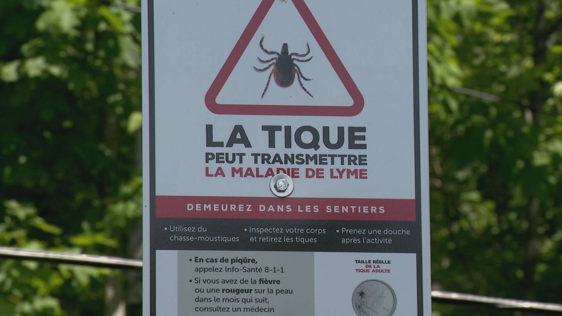 Maladie de Lyme: «Le Québec pourrait être l’épicentre en Amérique du ...