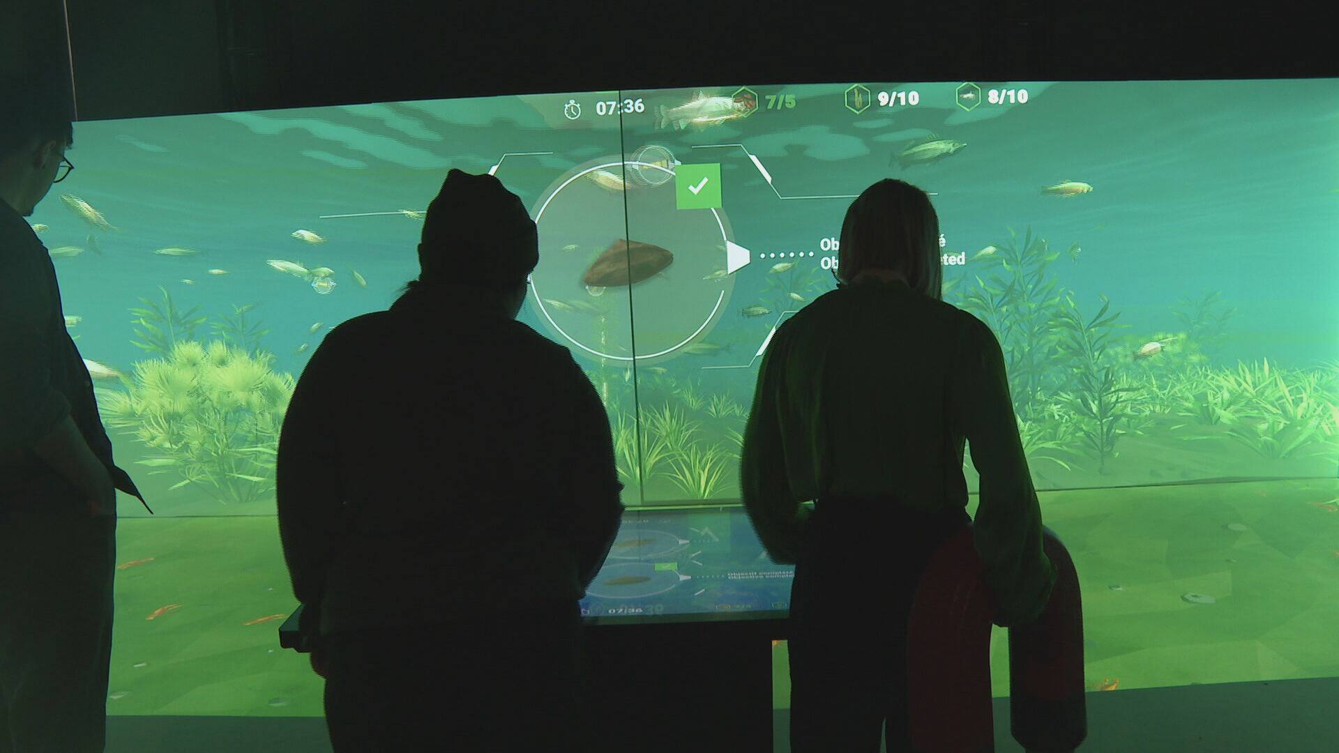 Des activités pour tous pendant la relâche en Estrie | TVA Nouvelles