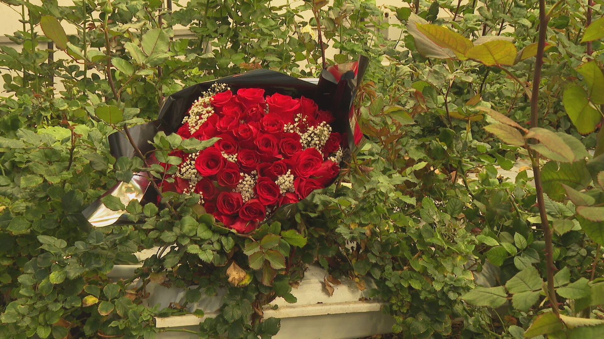 Fleurs pour la Saint-Valentin: des coûts élevés qui ne freinent pas les ...