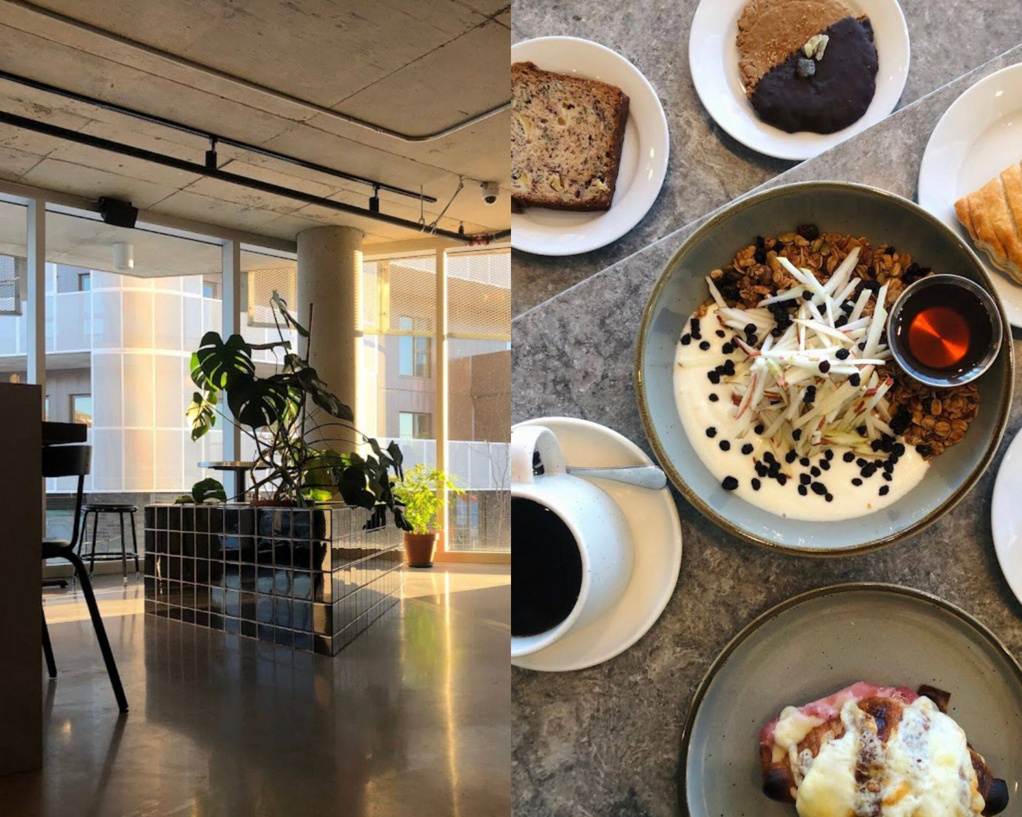 Café Kujira: le nouveau café des Shop Angus où se poser pour travailler ...