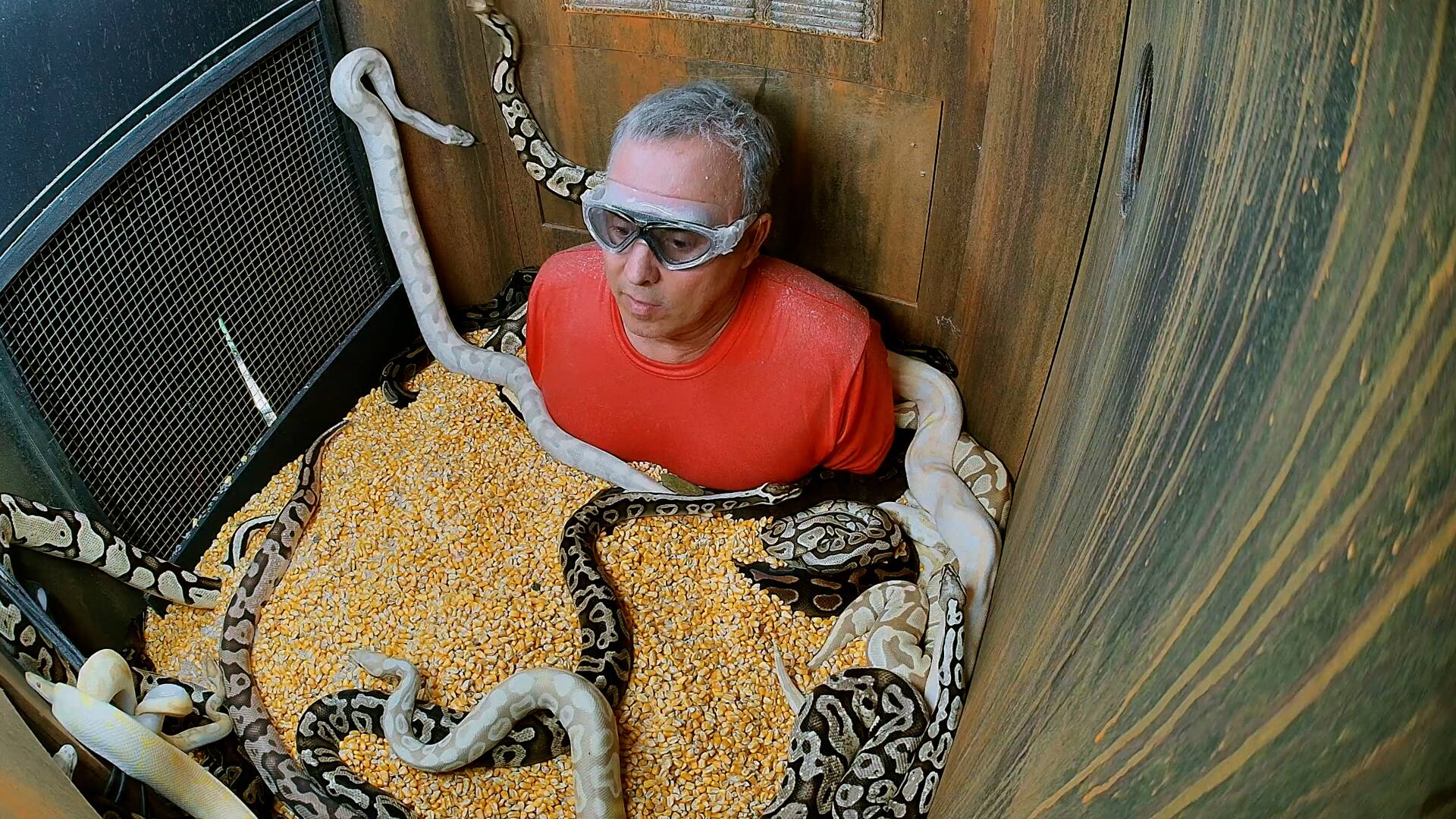 «Sortez-moi d’ici!»: Gino Chouinard est passé tout près de perdre ...