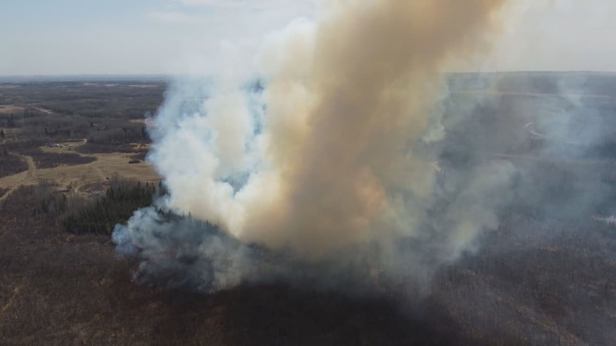 83 Feux De Forêt Toujours Actifs En Alberta Jdm
