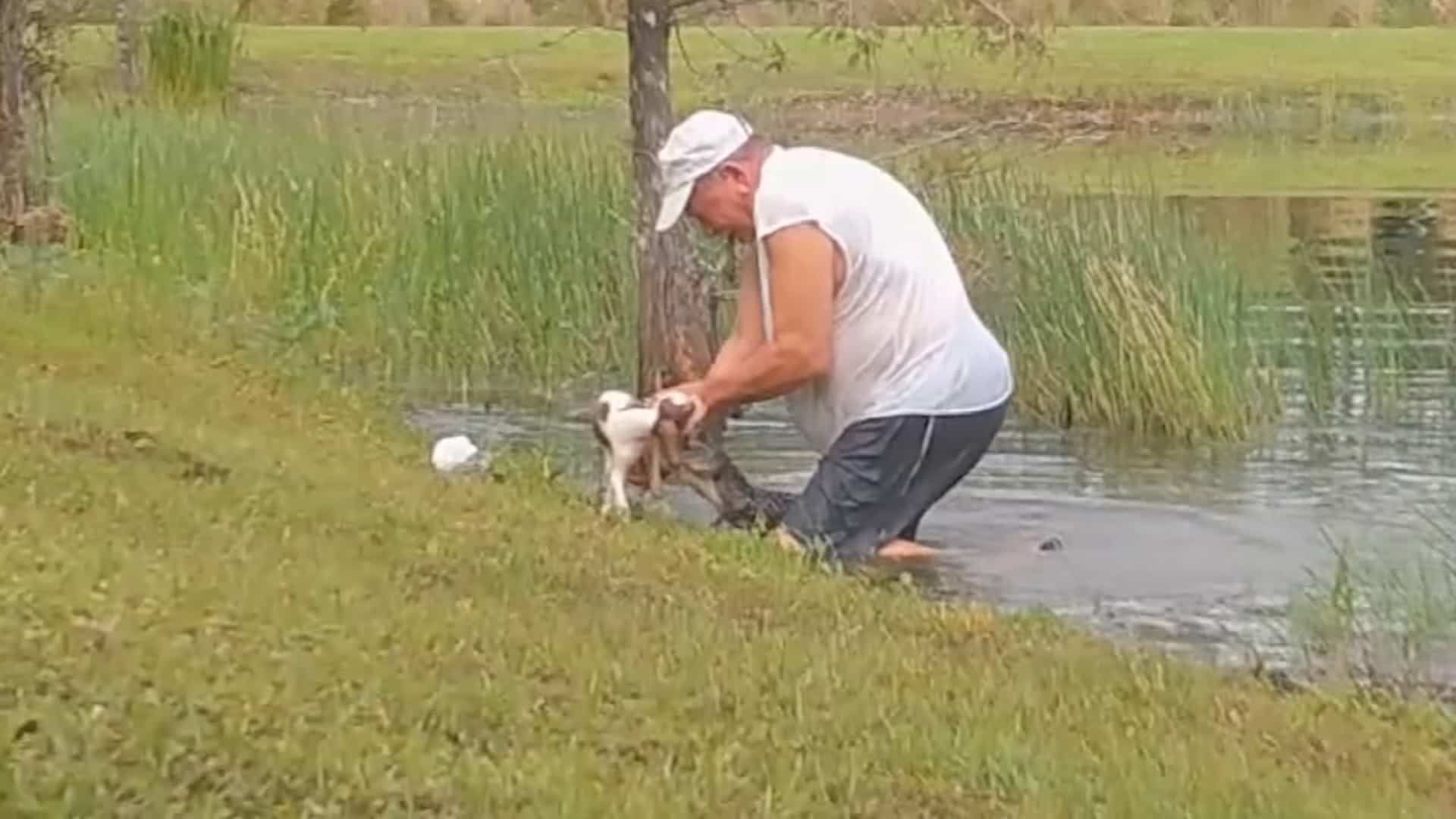 Il sauve son chien des crocs d’un alligator | TVA Nouvelles