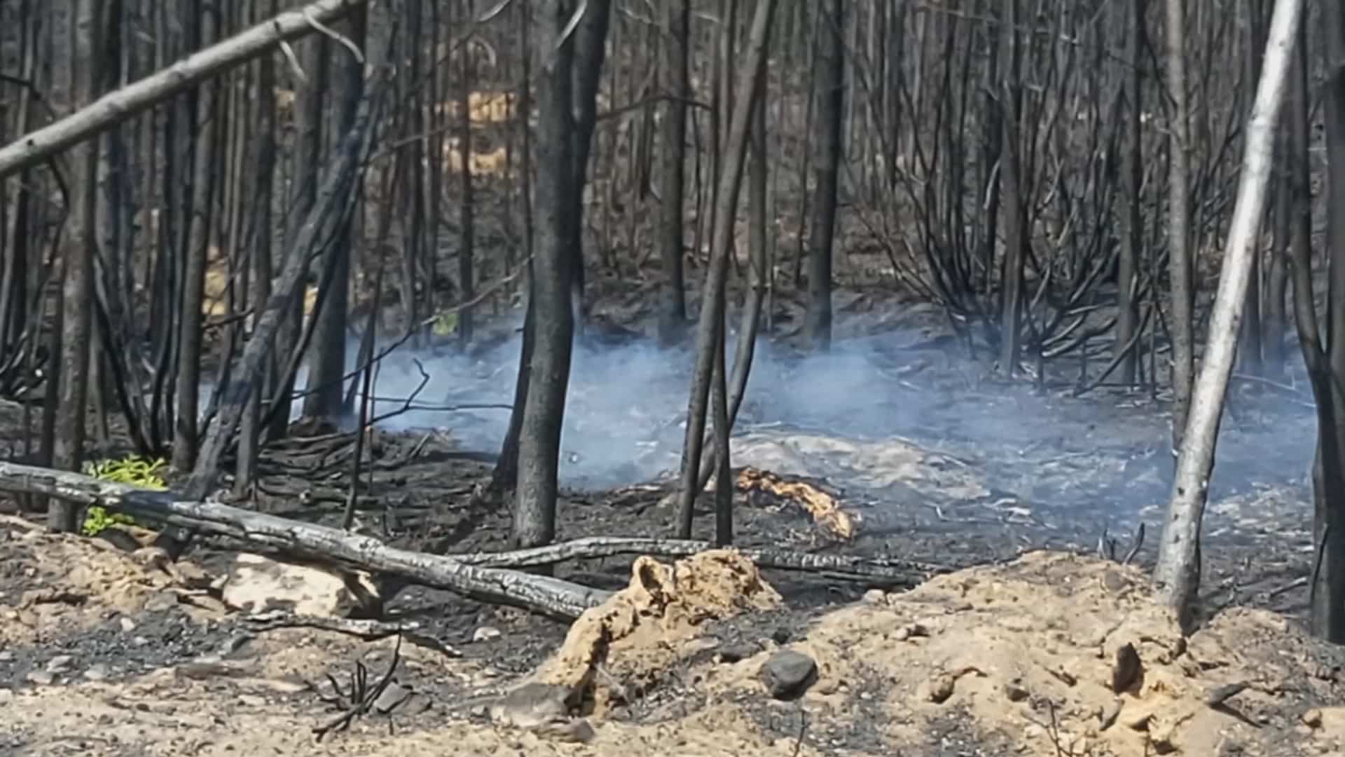 Désolation et tristesse pour les sinistrés du feu de Chute-des-Passes ...
