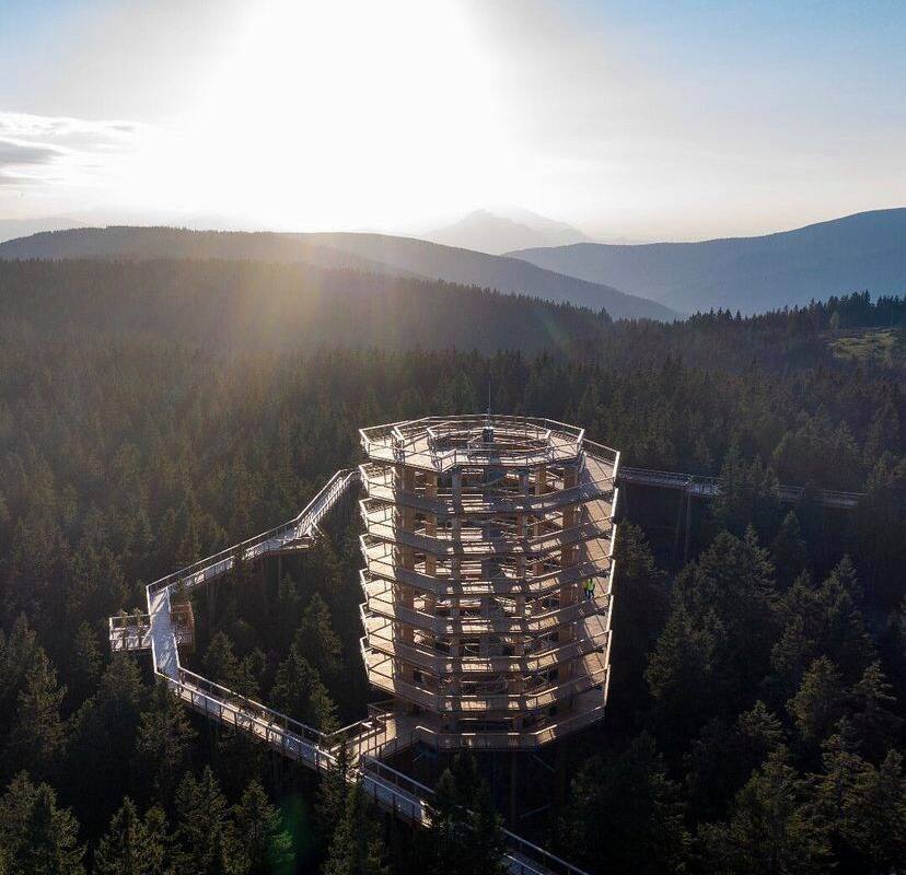 Un sentier à la cime des arbres et une immense tour s’installent dans ...