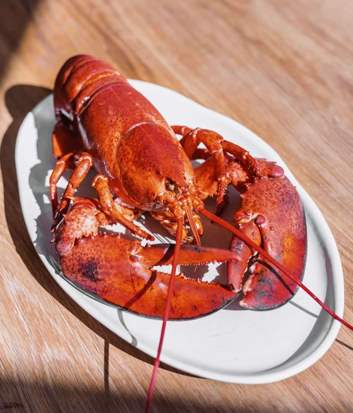 Top 10 des restaurants de homard à Montréal pour un été délicieux | Silo 57