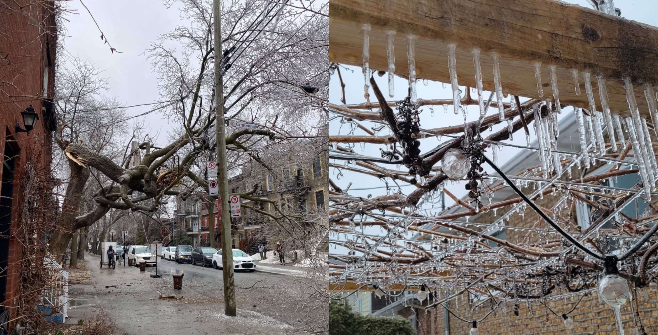 11 images incroyables du verglas qui frappe le Québec partagées par les ...