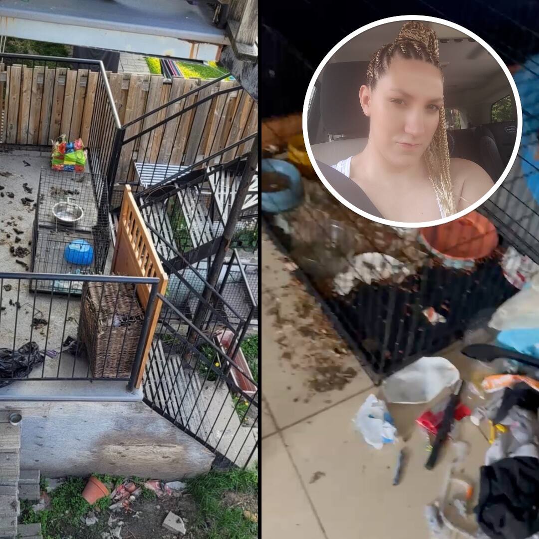 Shocking Case of Unsanitary Living Conditions: Building Manager Exposes ...