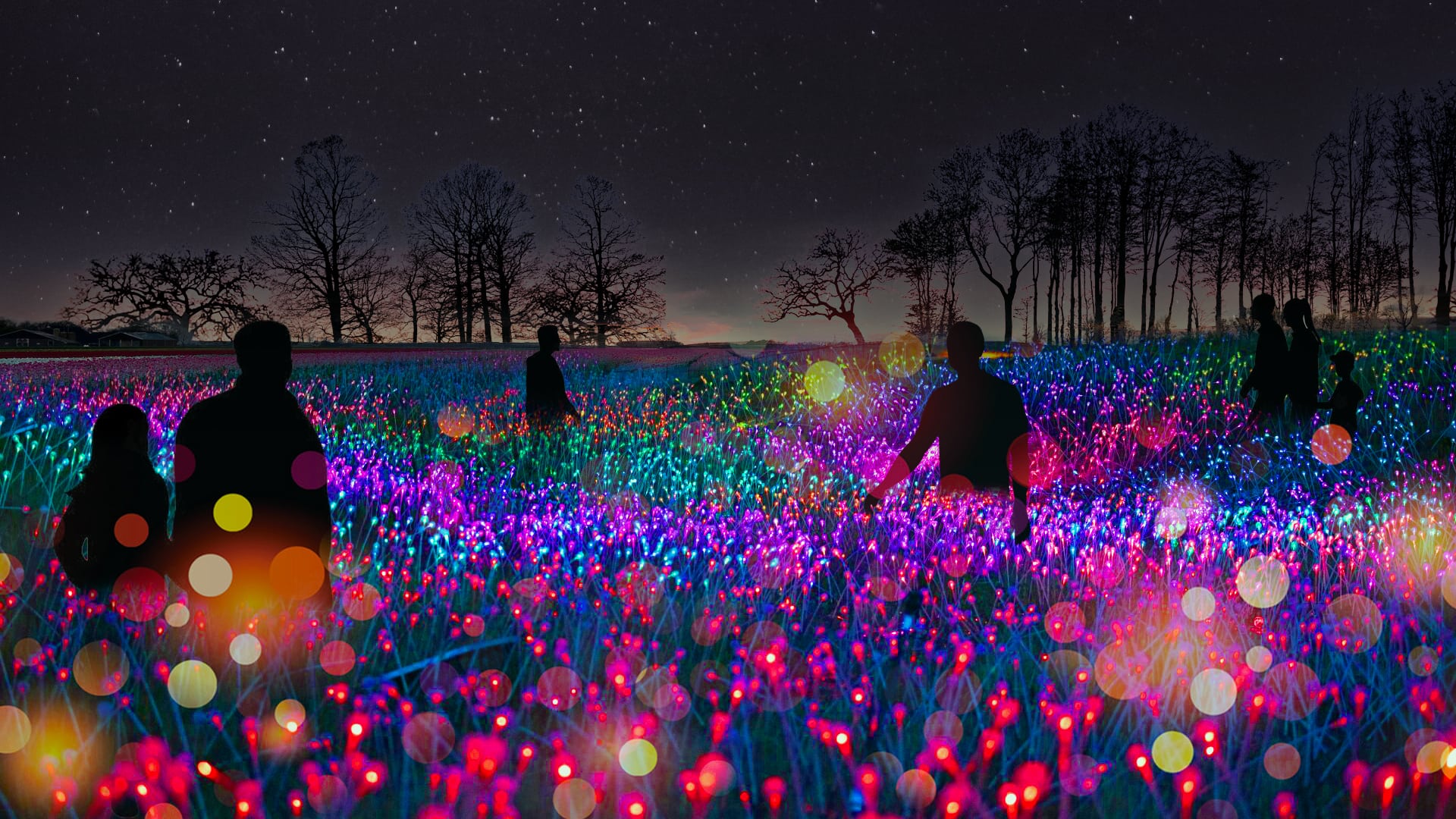 Symphonie des Fleurs: le nouveau projet illumi de Cavalia | JDQ