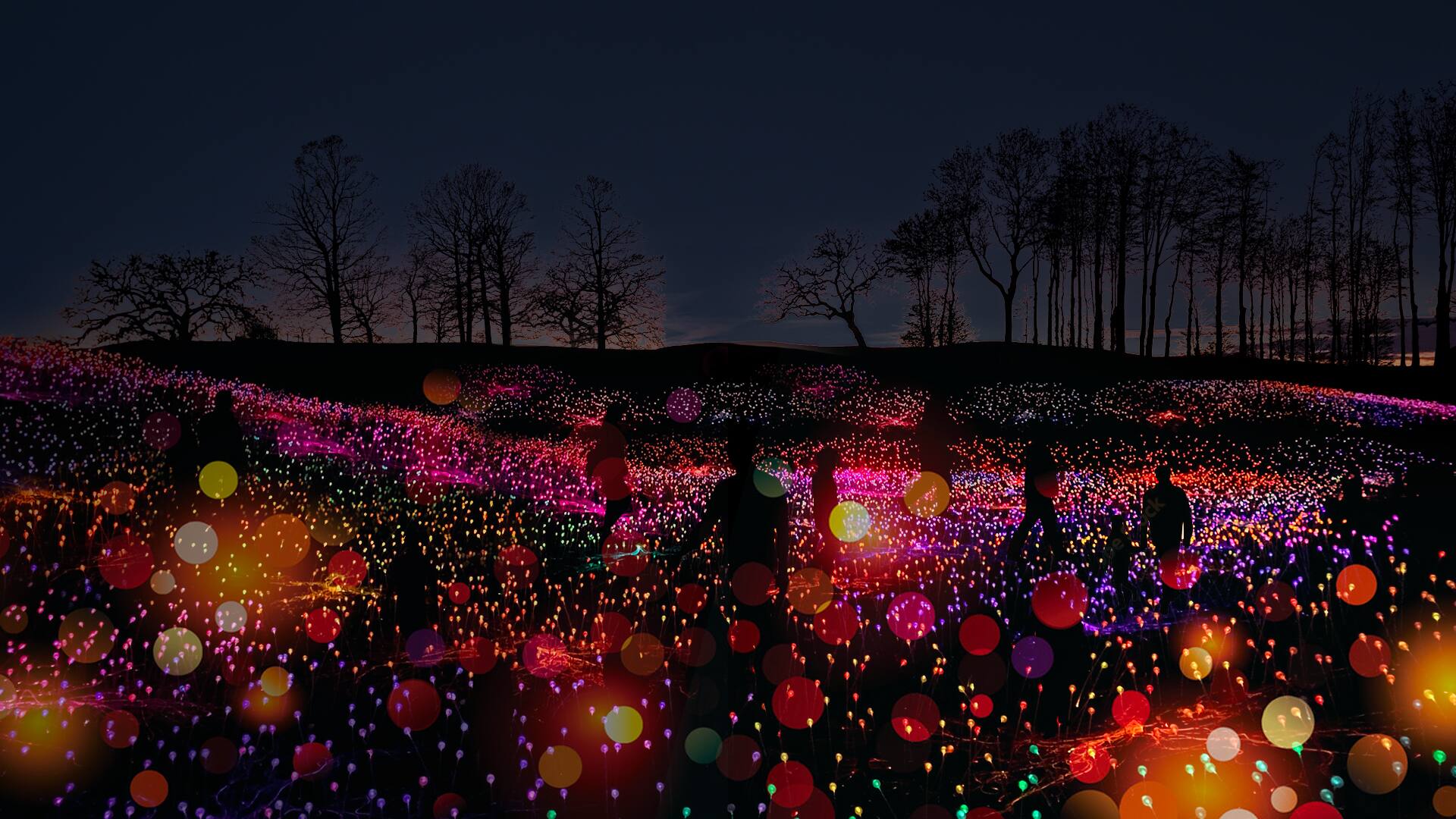 Symphonie des Fleurs: le nouveau projet illumi de Cavalia | JDM