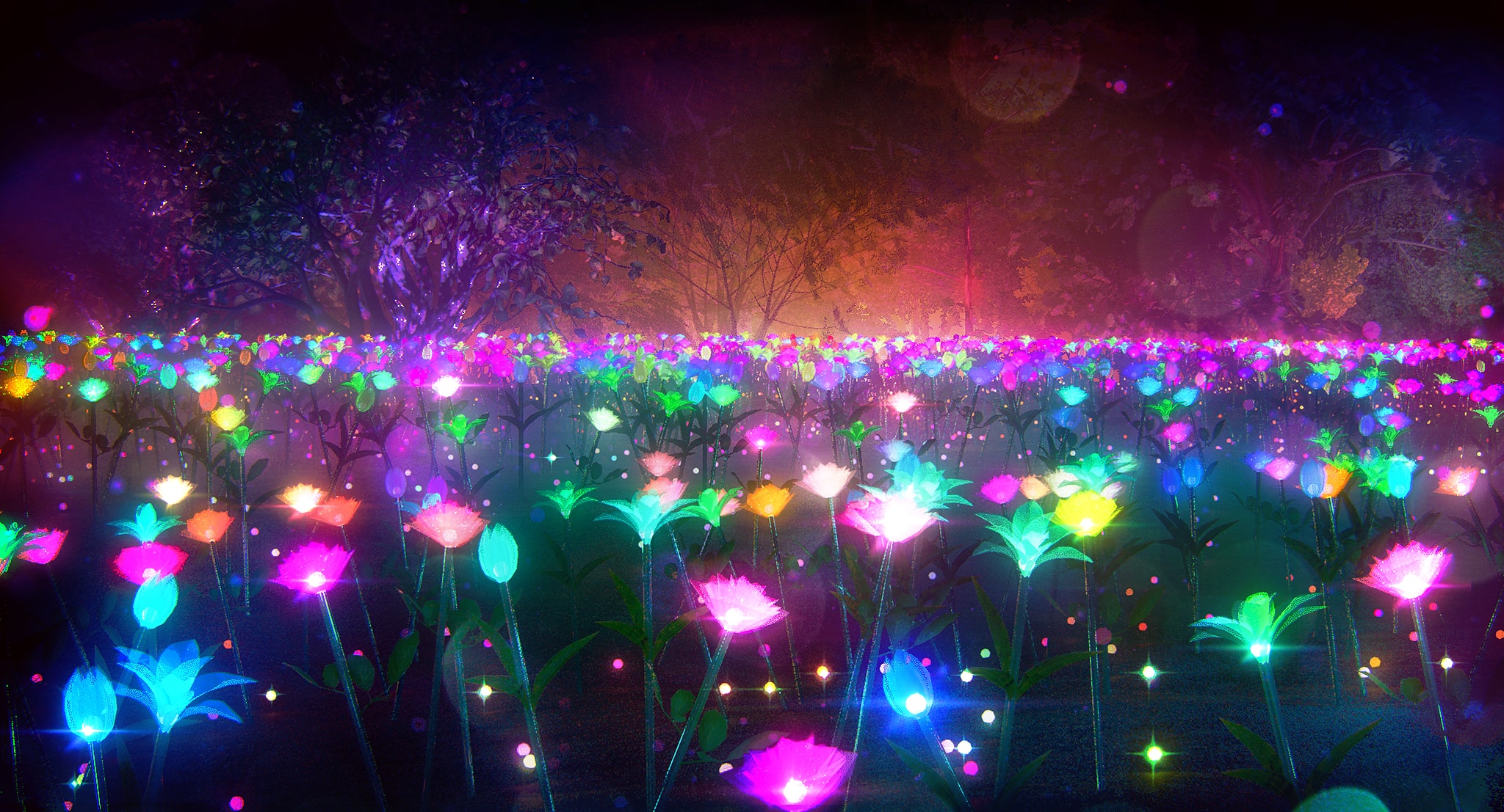 Symphonie des Fleurs: le nouveau projet illumi de Cavalia | JDQ