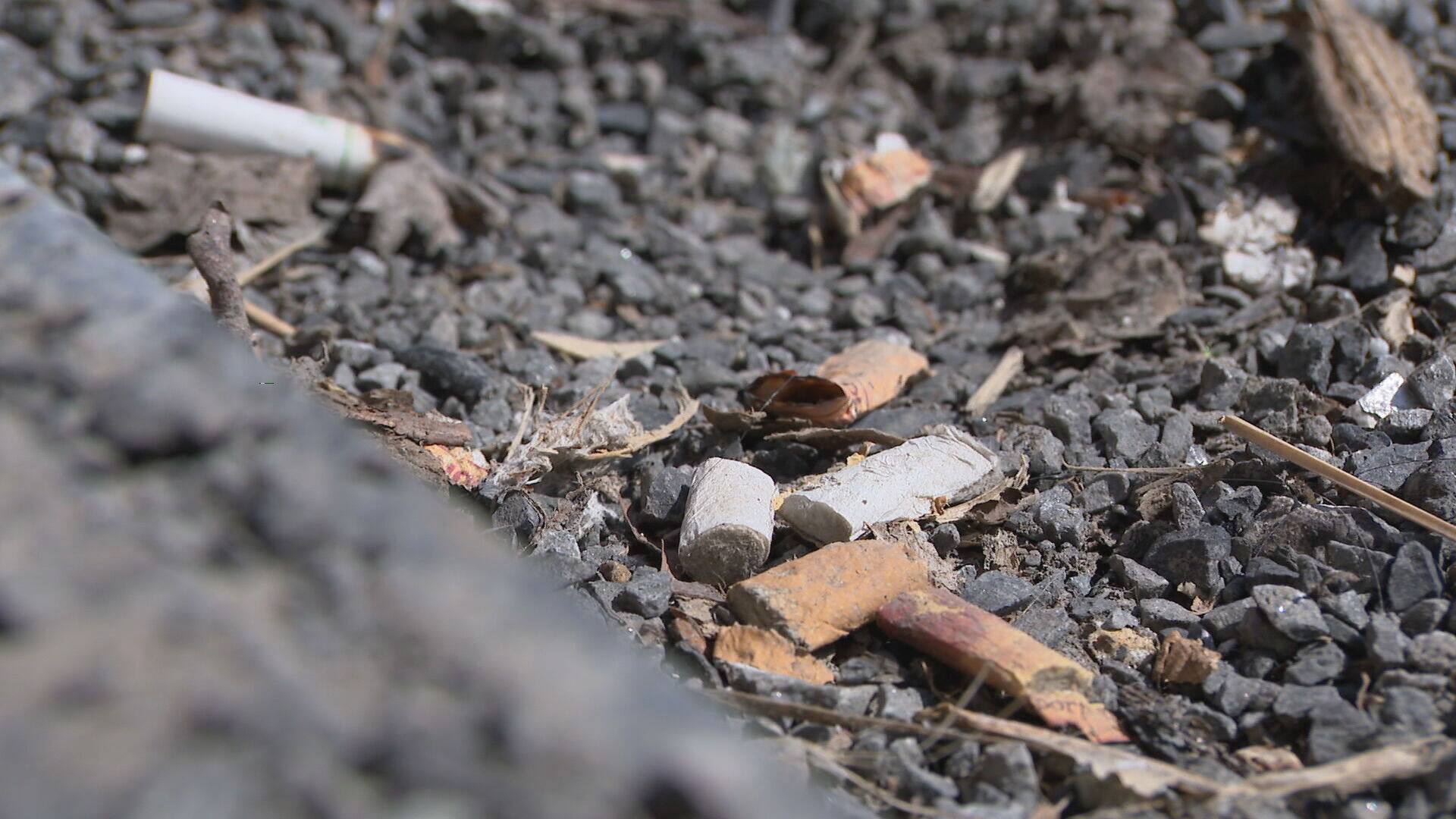 Après la neige, le retour des mégots de cigarettes sur le sol ...