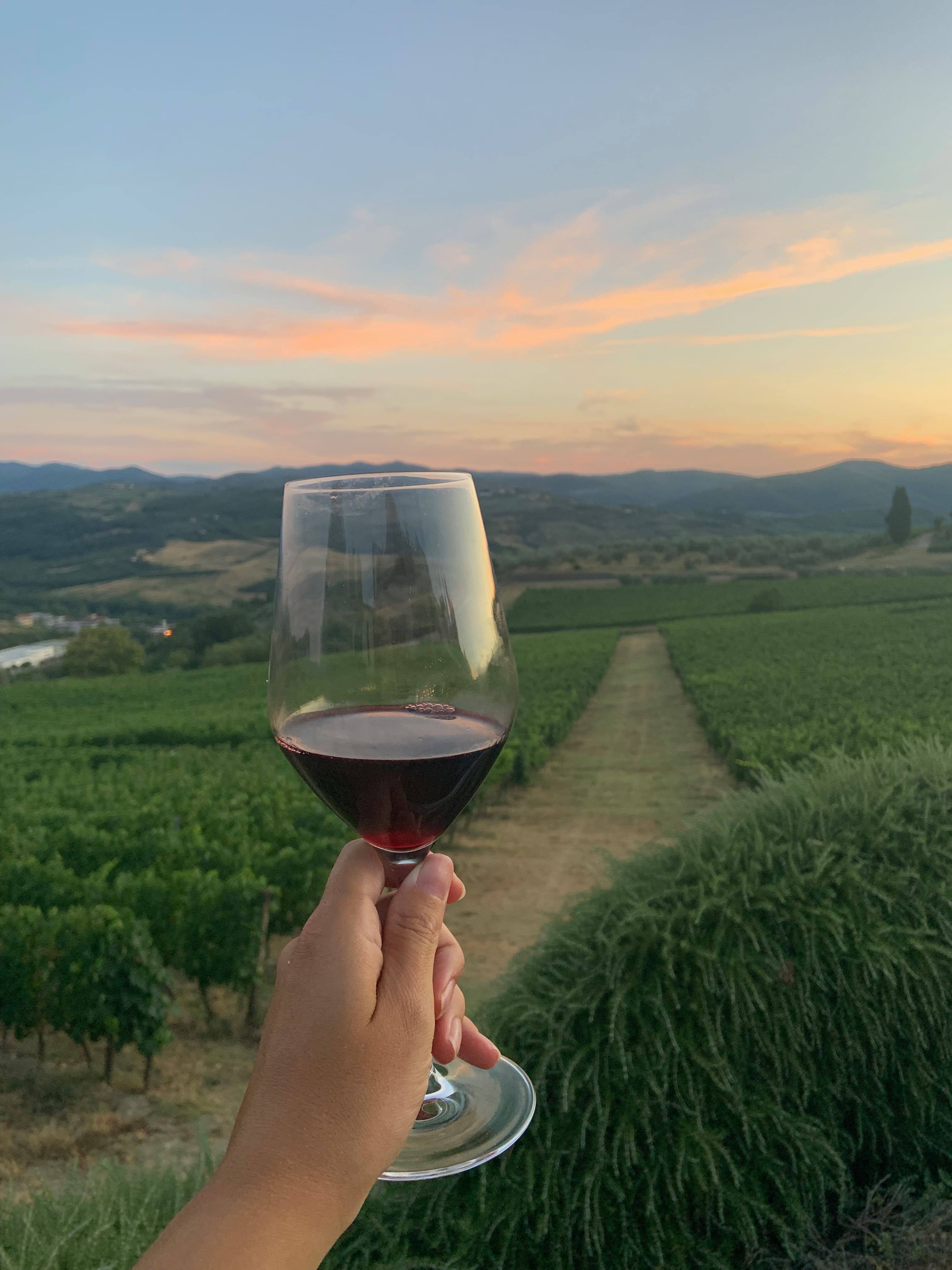 Vignobles: les 11 plus belles destinations du monde pour les amateurs ...