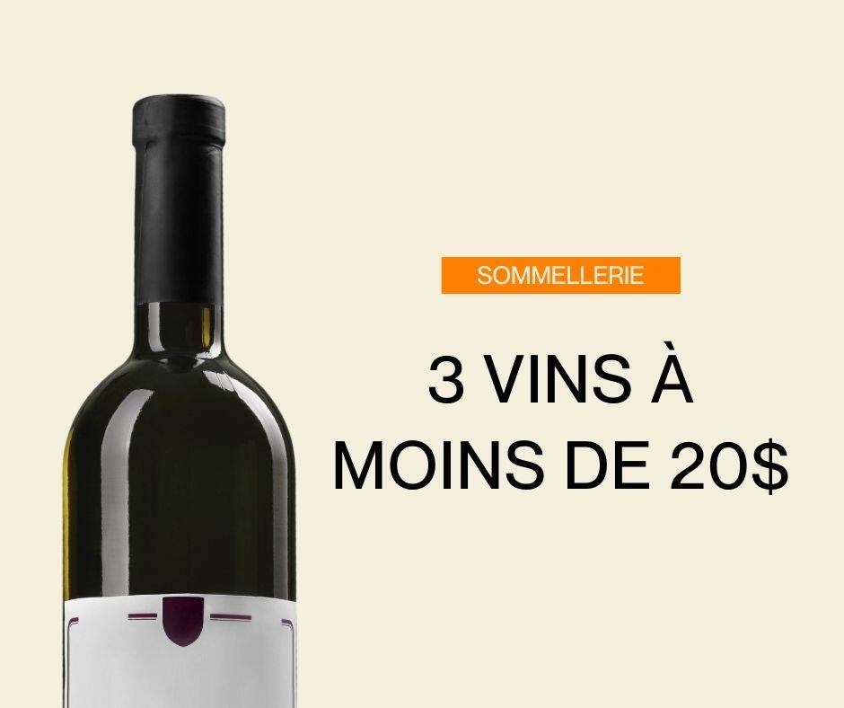 Retrouvez nos Chefs, Recettes et Conseils Culinaires | Salut Bonjour