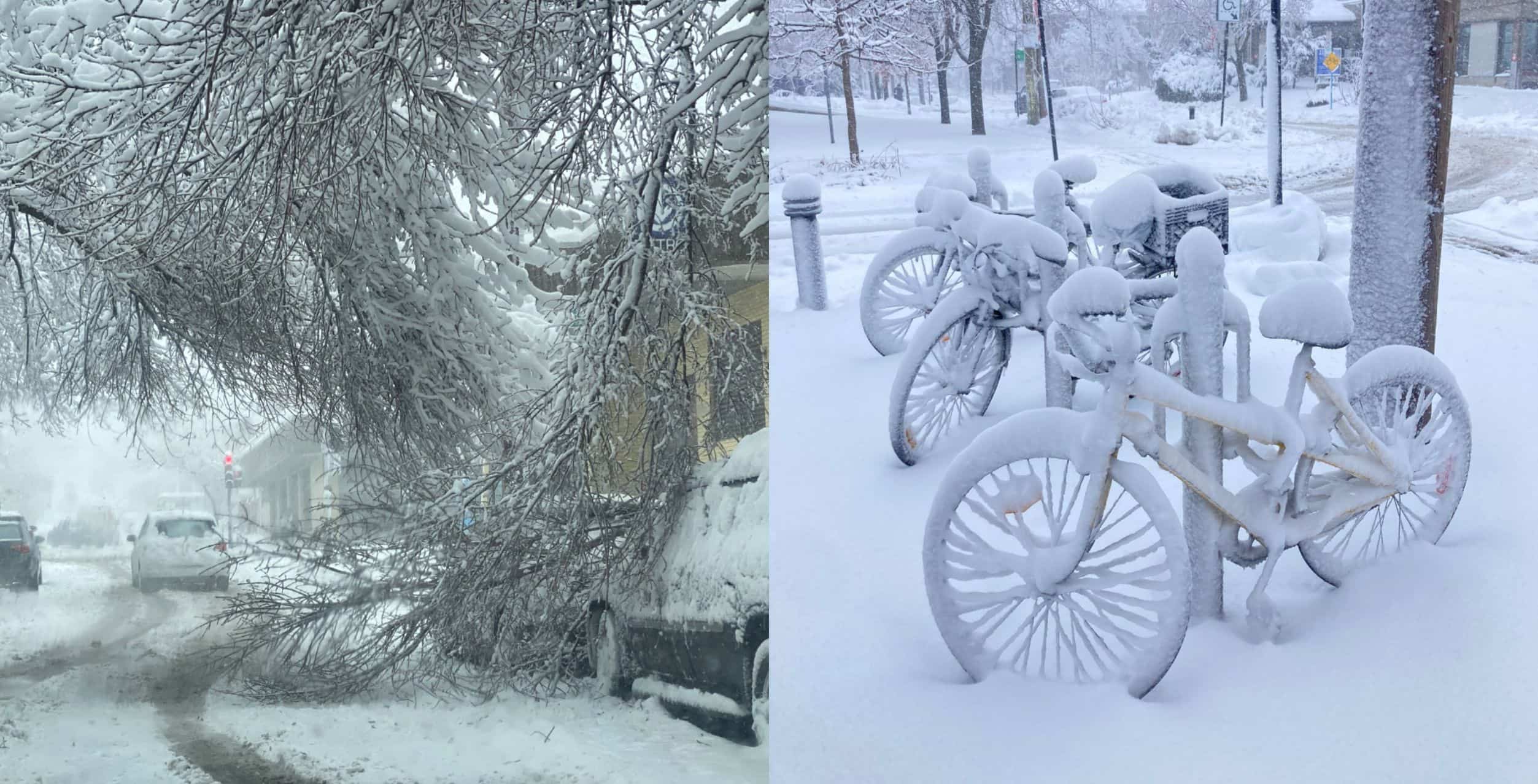 Les images les plus impressionnantes de la tempête de neige d’avril qui ...