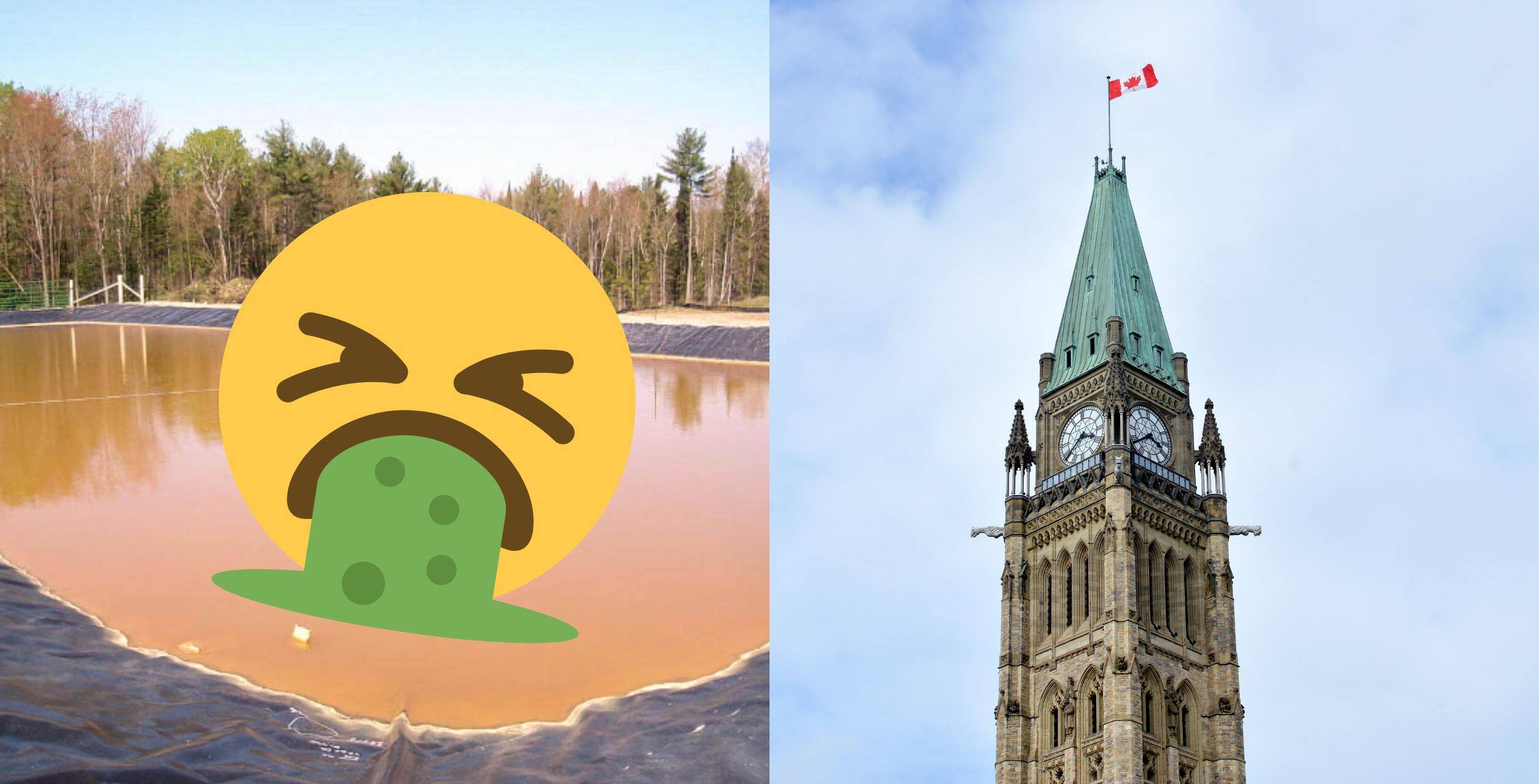 Une analyste politique dit qu’Ottawa sent le lixiviat aujourd’hui et ...