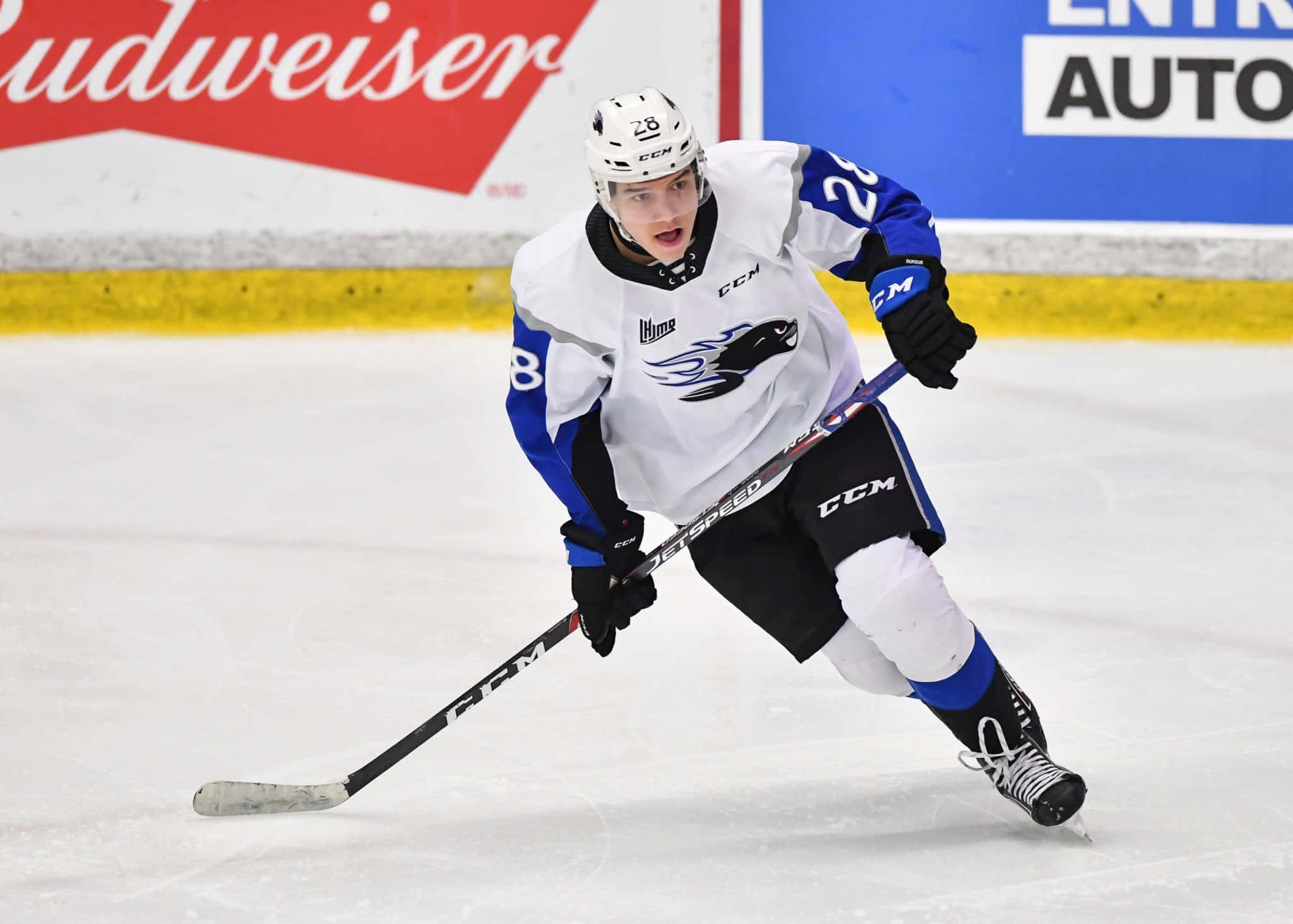 Quatre buts pour William Dufour | Le Journal de Montréal