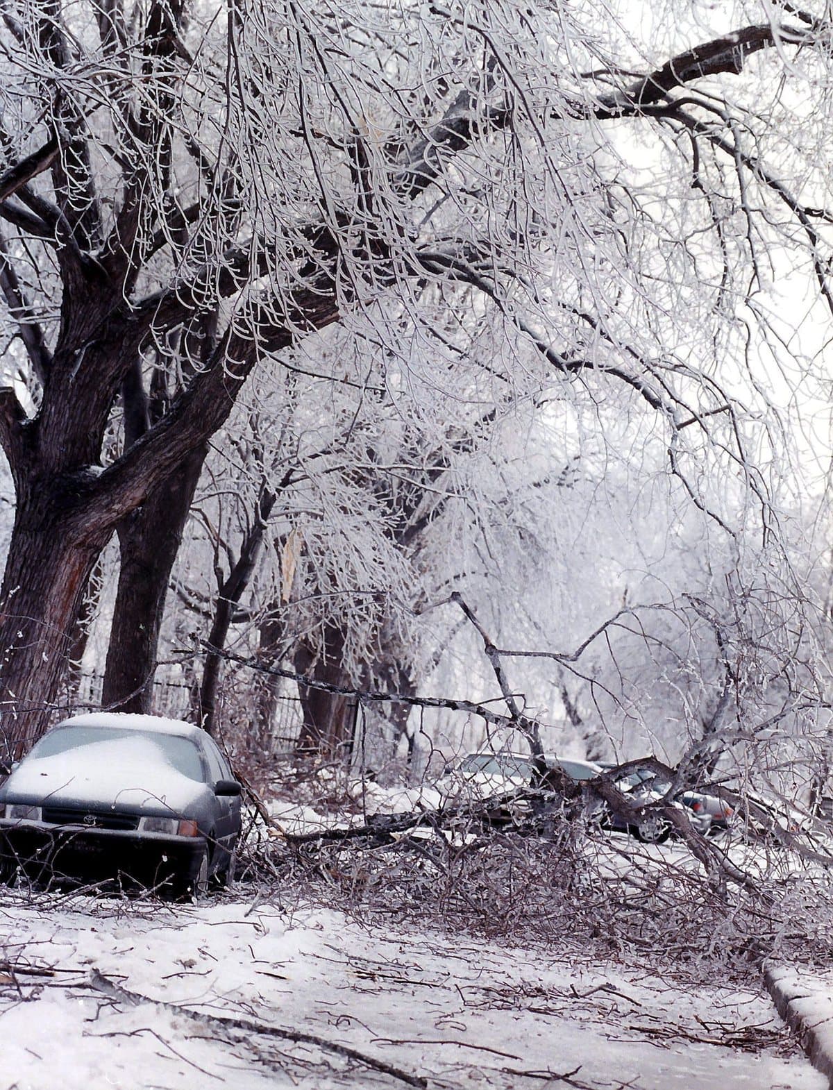 Il y a 25 ans, la crise du verglas | Le Journal de Québec