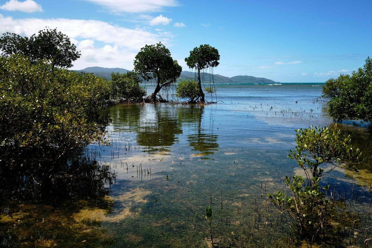 Puissant séisme au large de la Nouvelle-Calédonie, l'alerte au tsunami ...