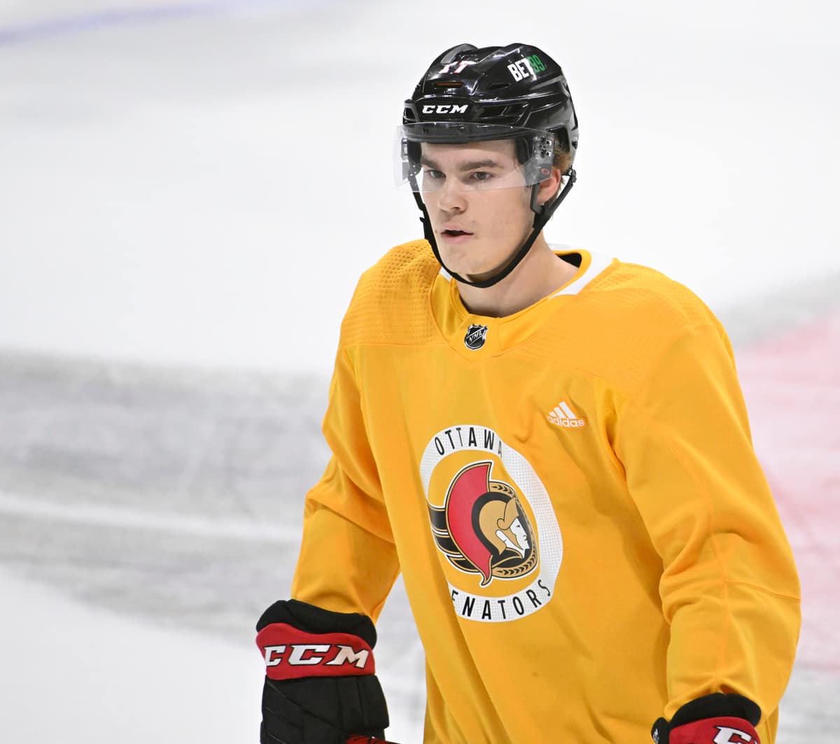 Sénateurs: les débuts de Ridly Greig | JDQ