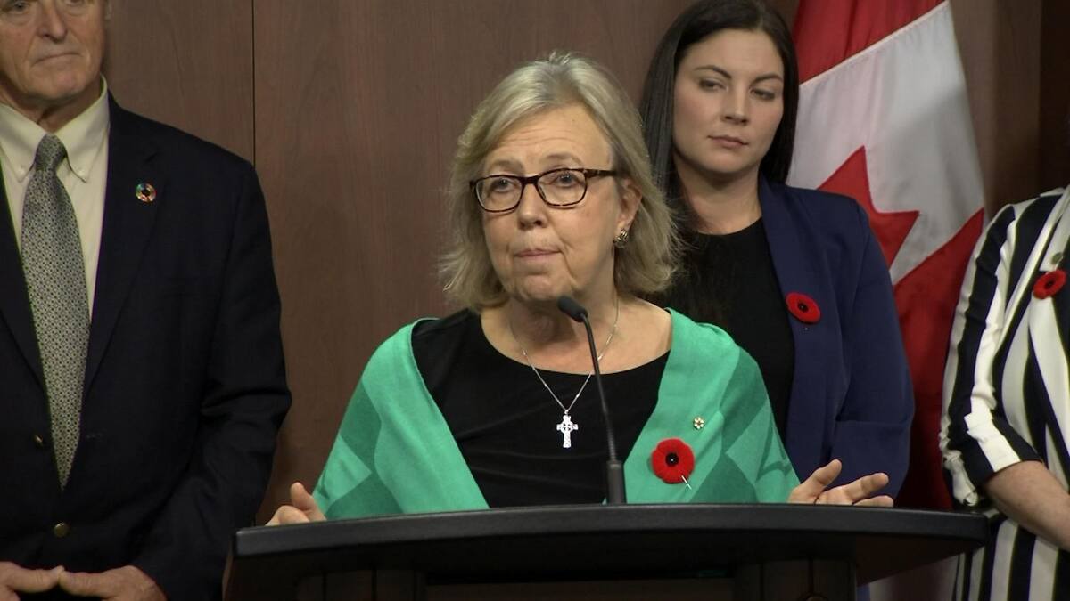 Chefferie du Parti vert du Canada: un troisième candidat en lice | TVA ...