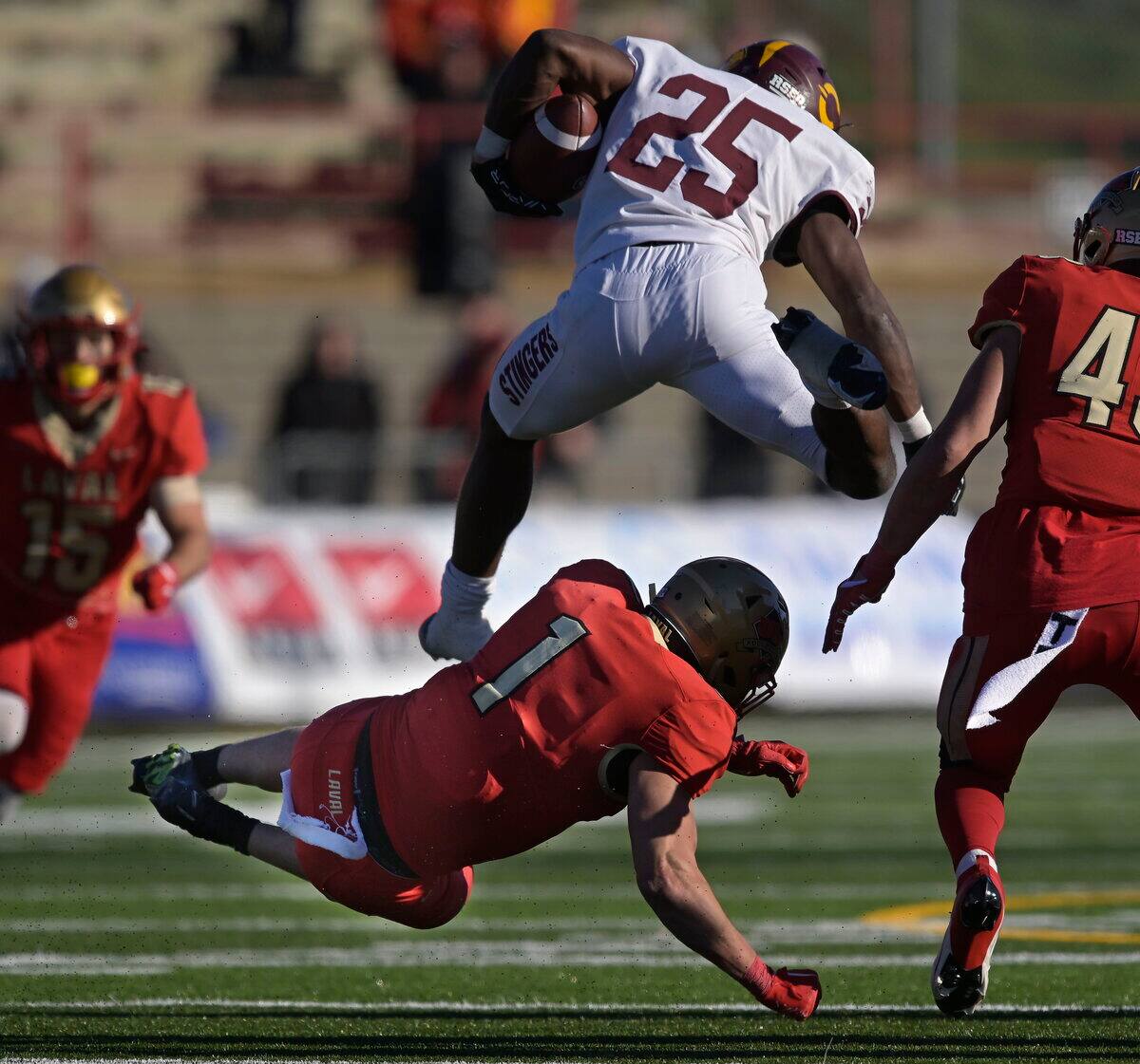 Demi-finale du RSEQ: les Carabins ne prennent pas les Stingers de haut ...