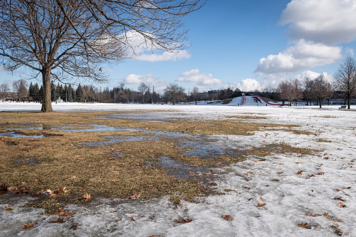 Voici quand le printemps arrivera au Québec | JDM
