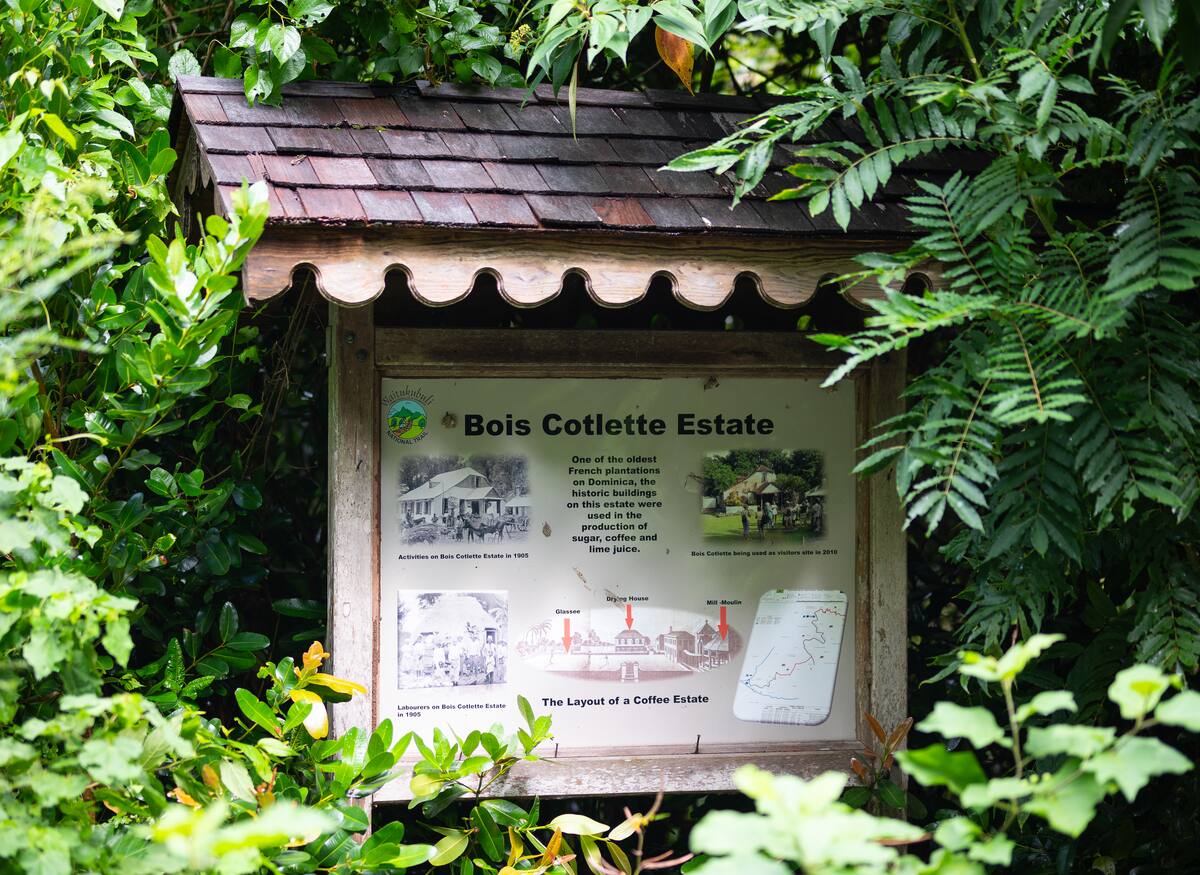 Meurtre de Daniel Langlois et de sa conjointe: «Assassin Jonathan, tu ...