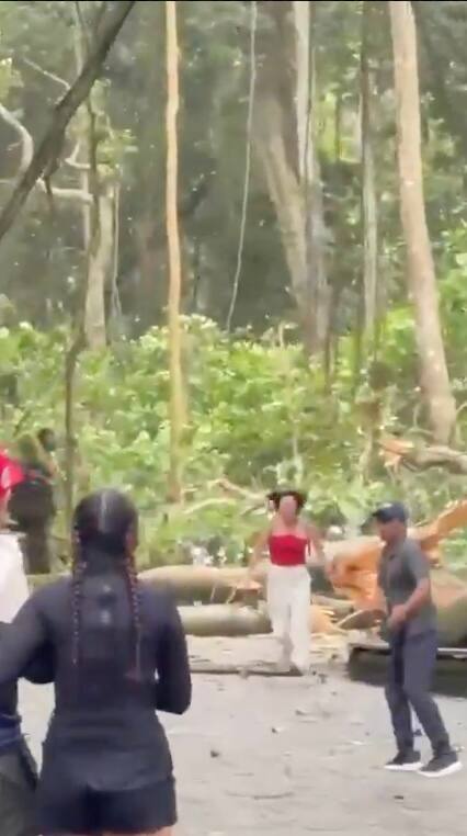 Deux touristes morts après la chute d’un arbre à un attrait touristique ...