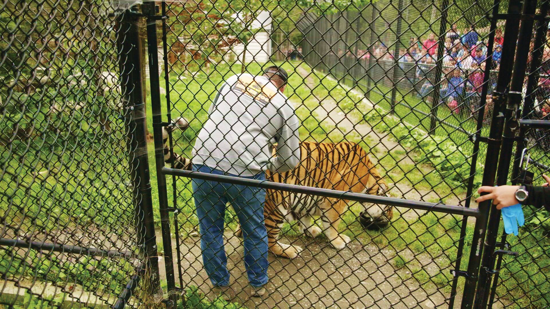 Voici le dernier ajout complètement surprenant au Miller Zoo | 7 Jours