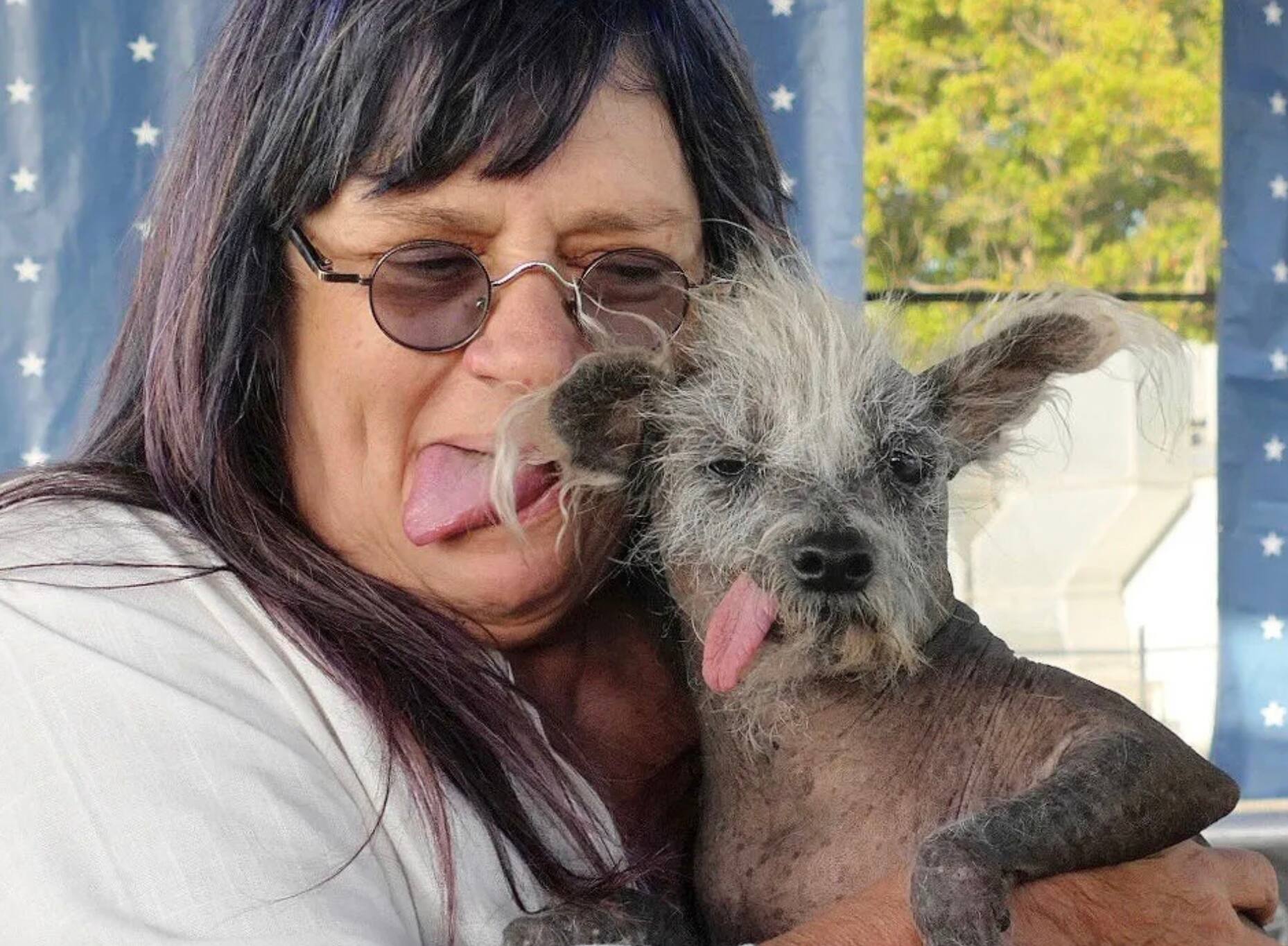 Voici Scooter, le chien le plus laid au monde | 24 heures