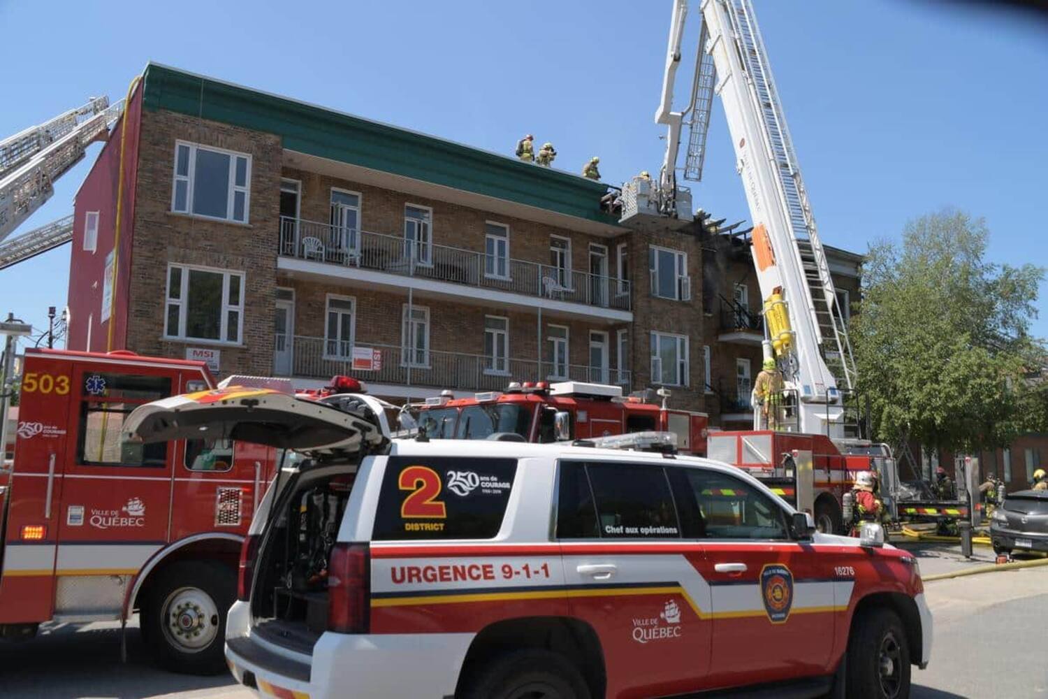 Des pompiers de Québec honorés pour avoir sauvé des vies | JDQ