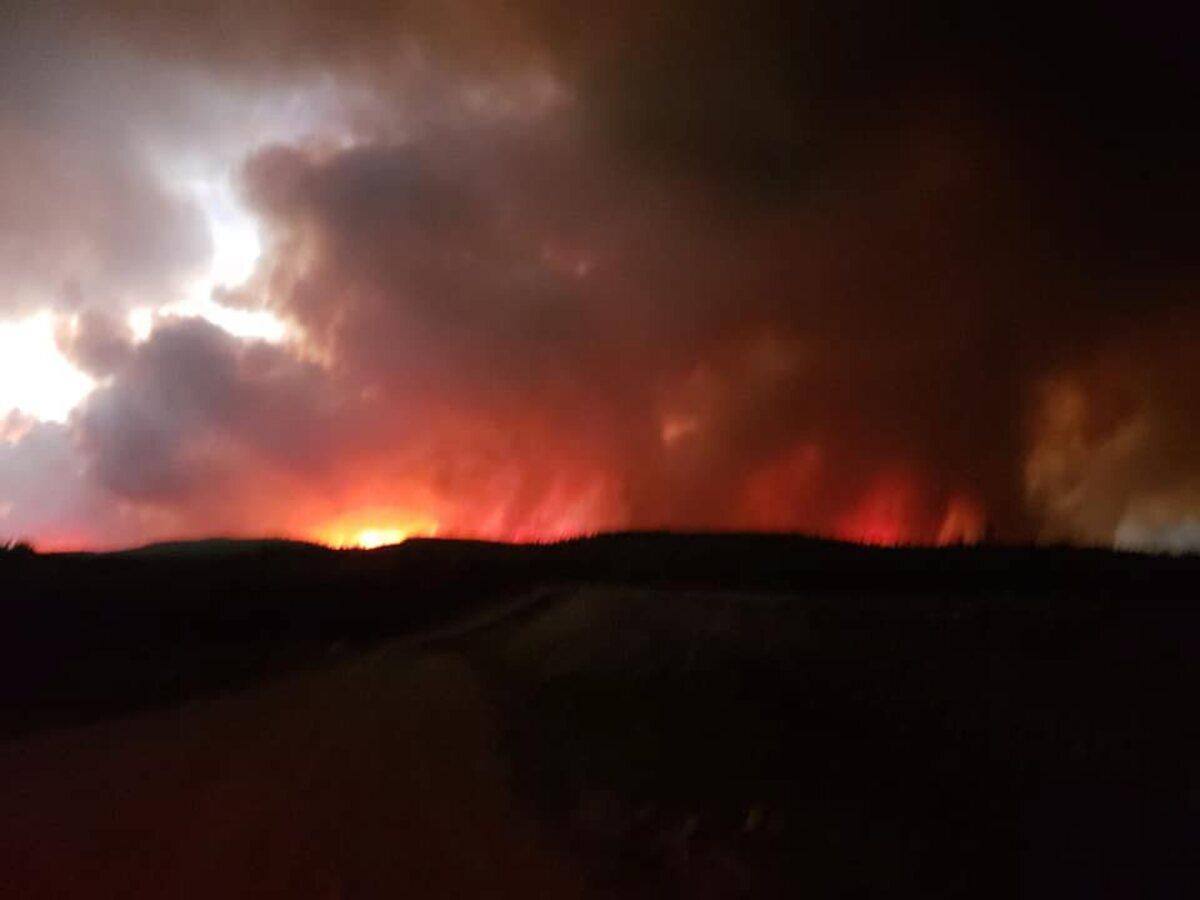 Feu de forêt au Lac-Saint-Jean: plus d’une centaine de chalets menacés ...